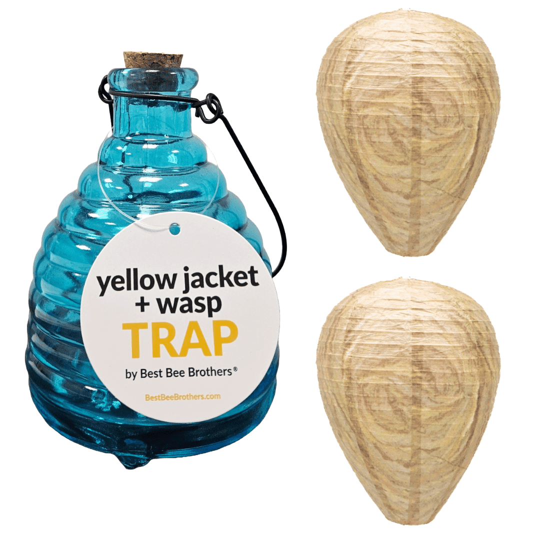 Best Bee Brothers Glass Wasp Trap and Deterrent Hive (2 Hives) for ...