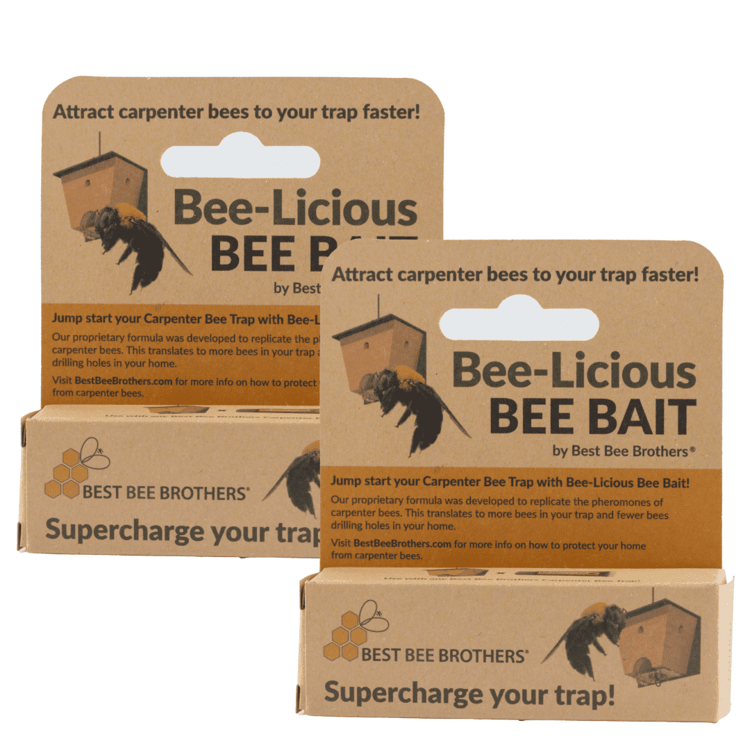 Best Bee Brothers Bee-licious Bait 2 Pack - Carpenter Bees Trap Lure ...
