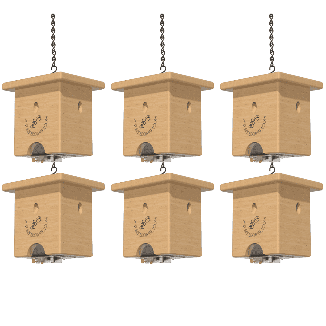 Best Bee Brothers Pine Turbo Trap (6 Pack) for Catching Carpenter Bees ...