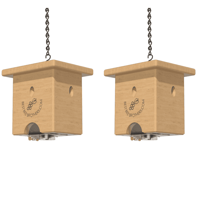 Free Shipping! Pine Turbo Trap (2 Pack) Carpenter Bee Trap by Best Bee ...