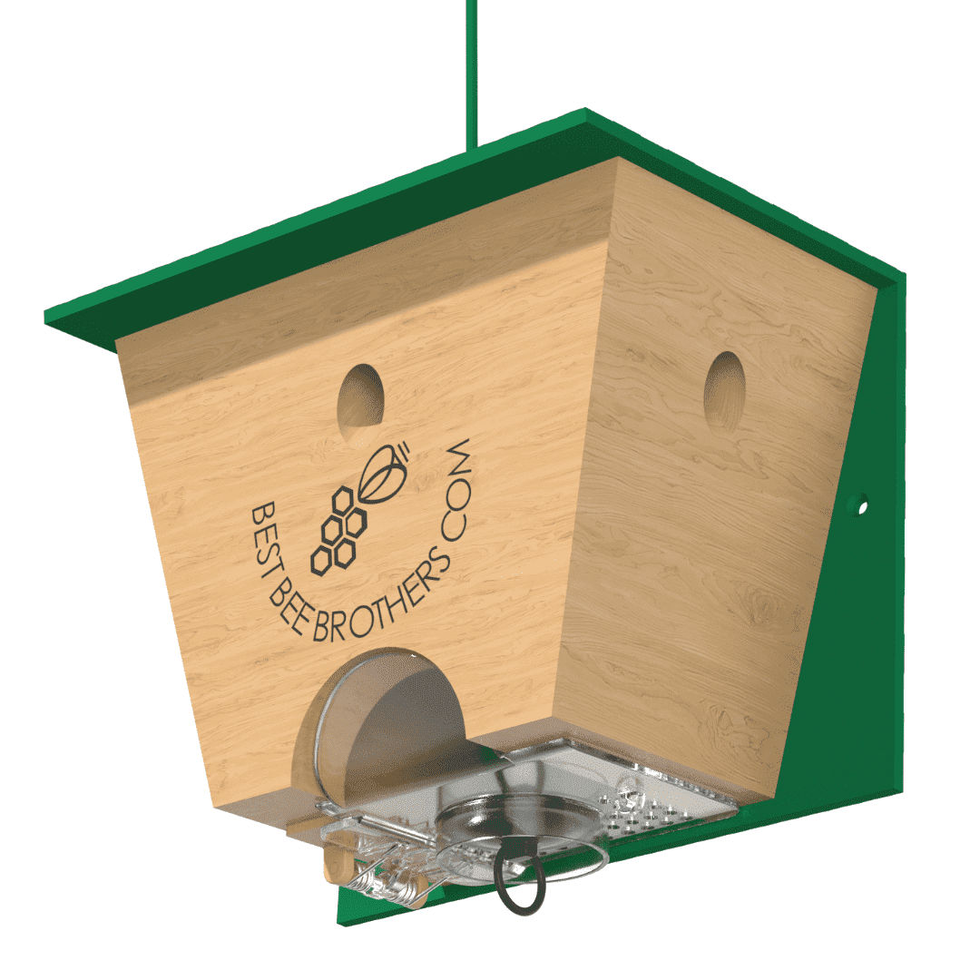 Best Bee Brothers Carpenter Bee Trap 2.0 with Bee Vault, Turbo Funnel ...
