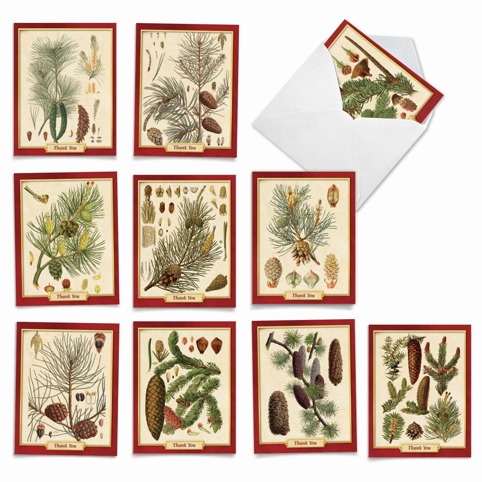 The Best Card Company - 10 Thank You Christmas Cards with Envelopes ...