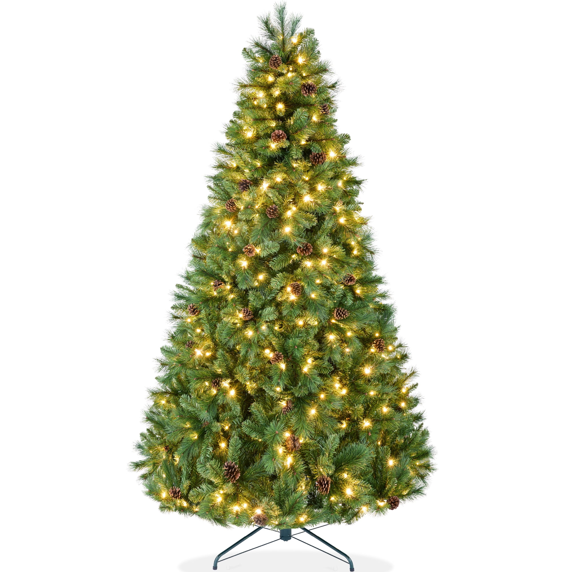 Scotch Pine Christmas Tree