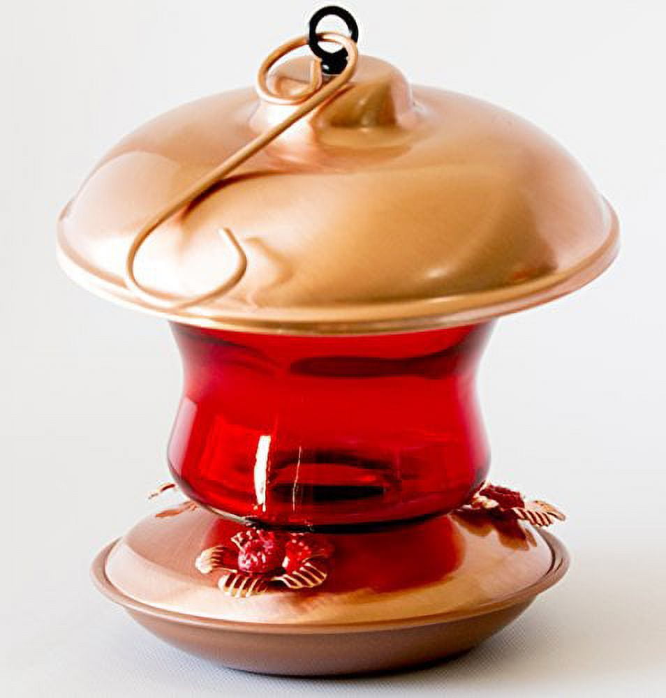 Best Copper & Ruby Glass Hummingbirds Feeder with Beautiful Design With ...