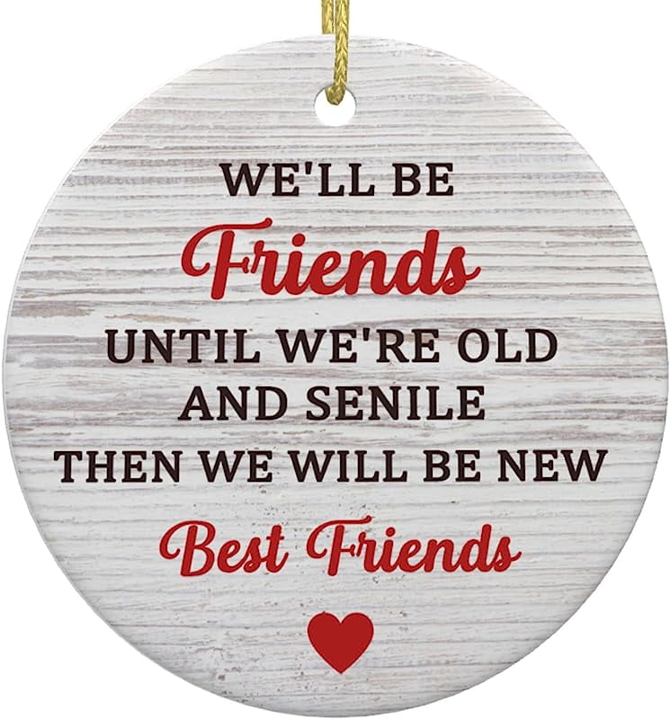 Best Friends Ornament Funny Quote Round Ceramic Tree Decoration ...