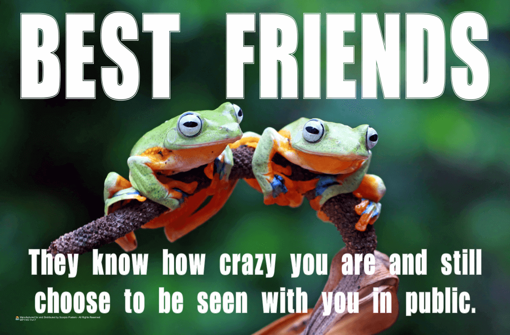 Best Friends - Tree Frogs Mini Poster - 17.5x11.5 Laminated - Walmart.com