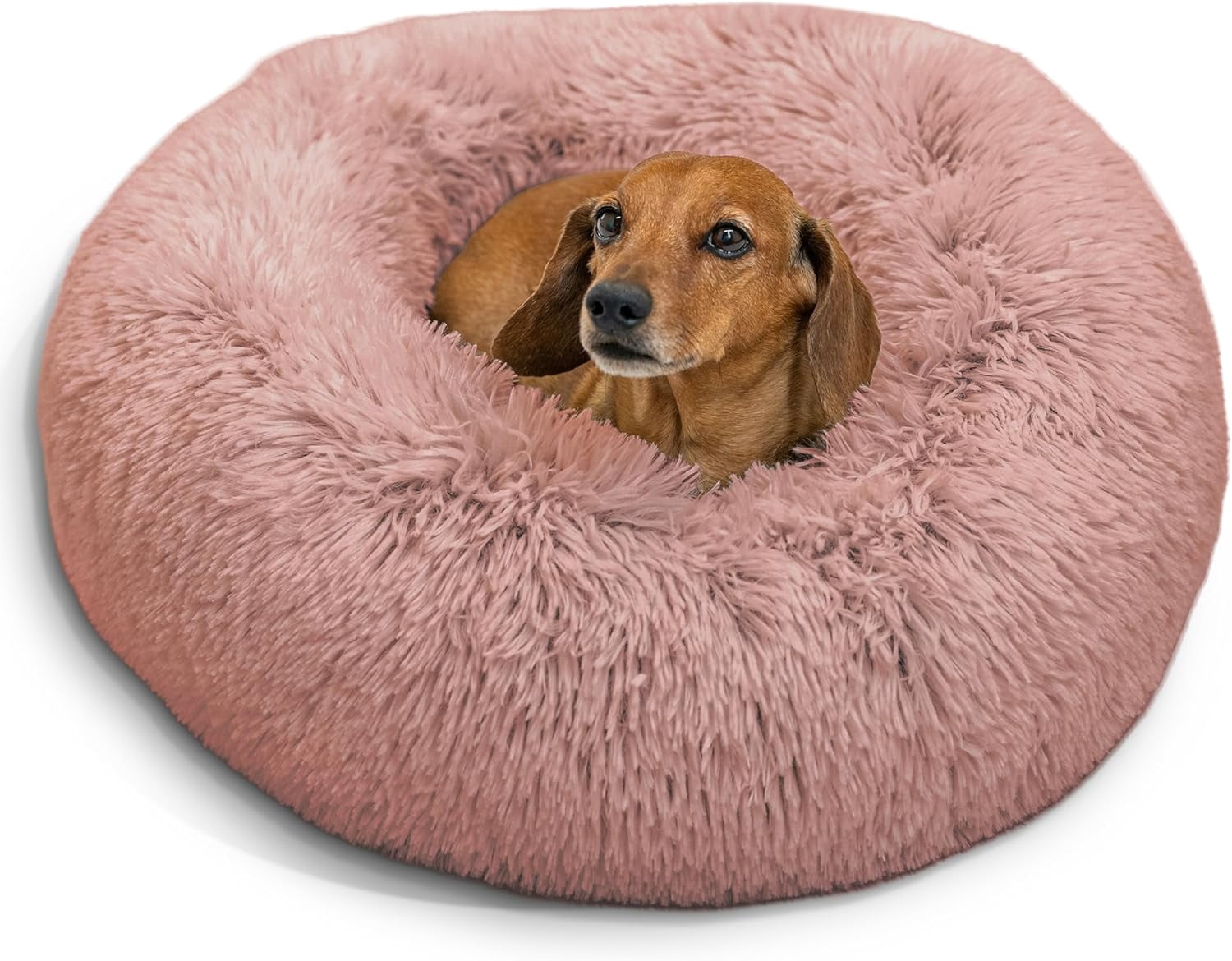 Best Friends by Sheri The Original Calming Donut Dog and Cat Bed in ...