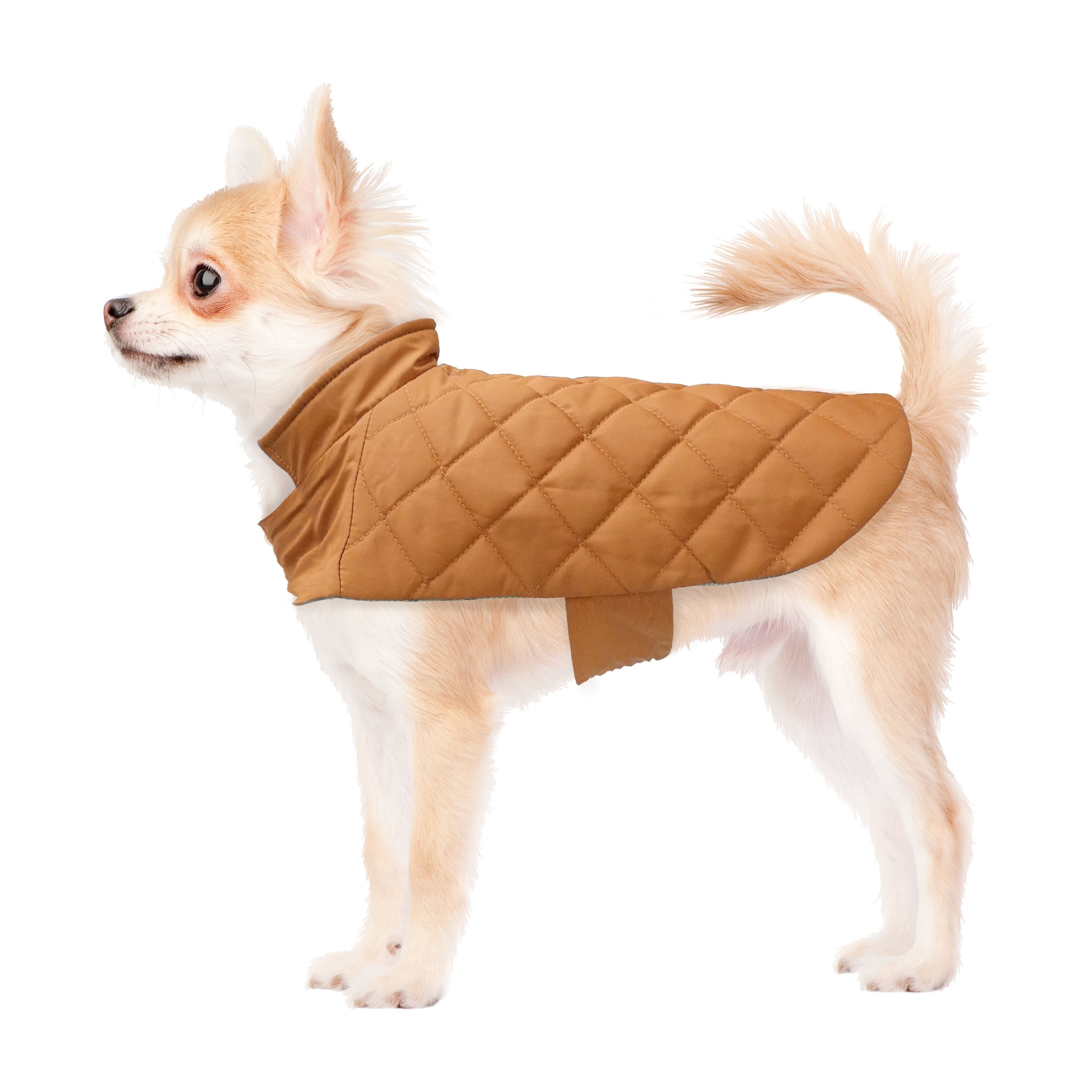 Best Furry Friends Riding Jacket for Dogs or Cats, Harvest Plaid, X ...