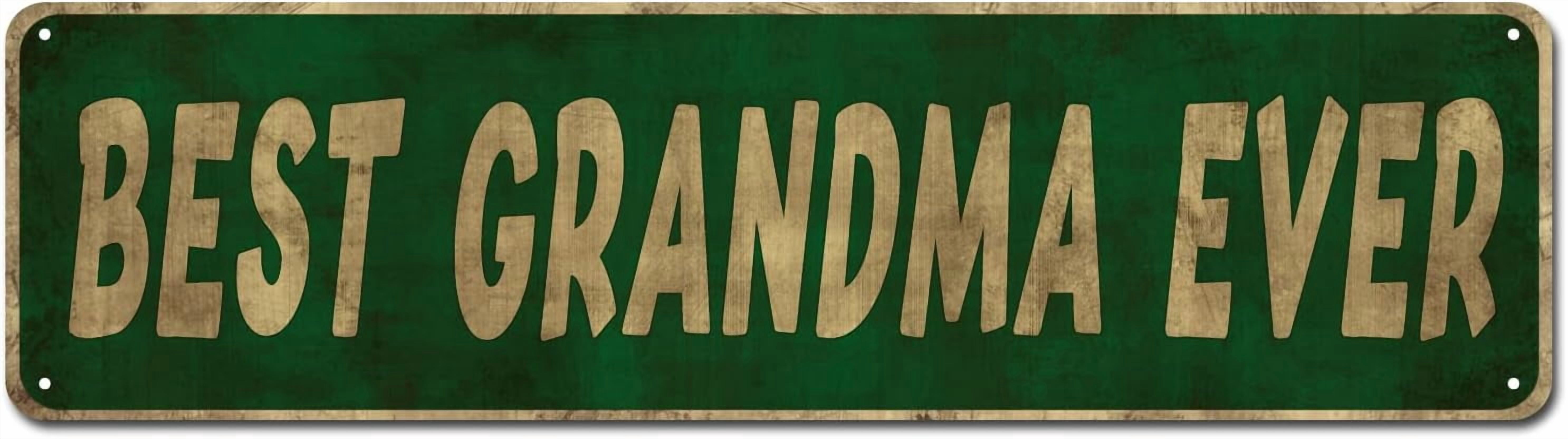 Best Grandma Ever Interesting Metal Sign, A Gift For Grandma, Suitable ...