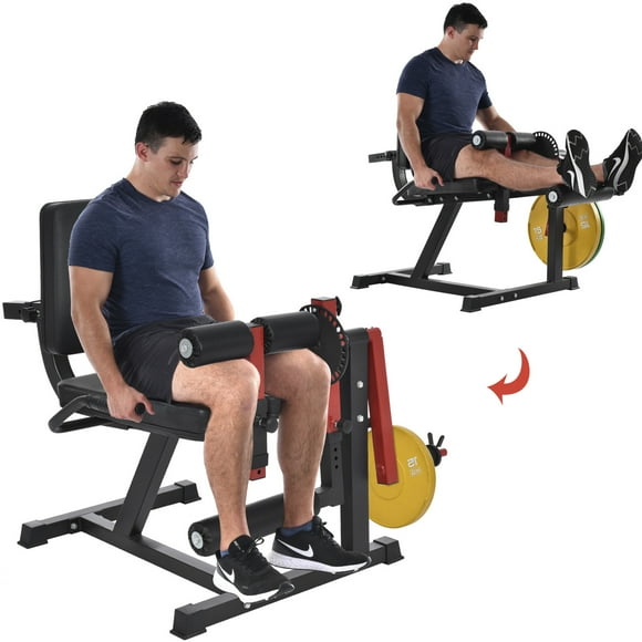 Hamstring Curl Machine