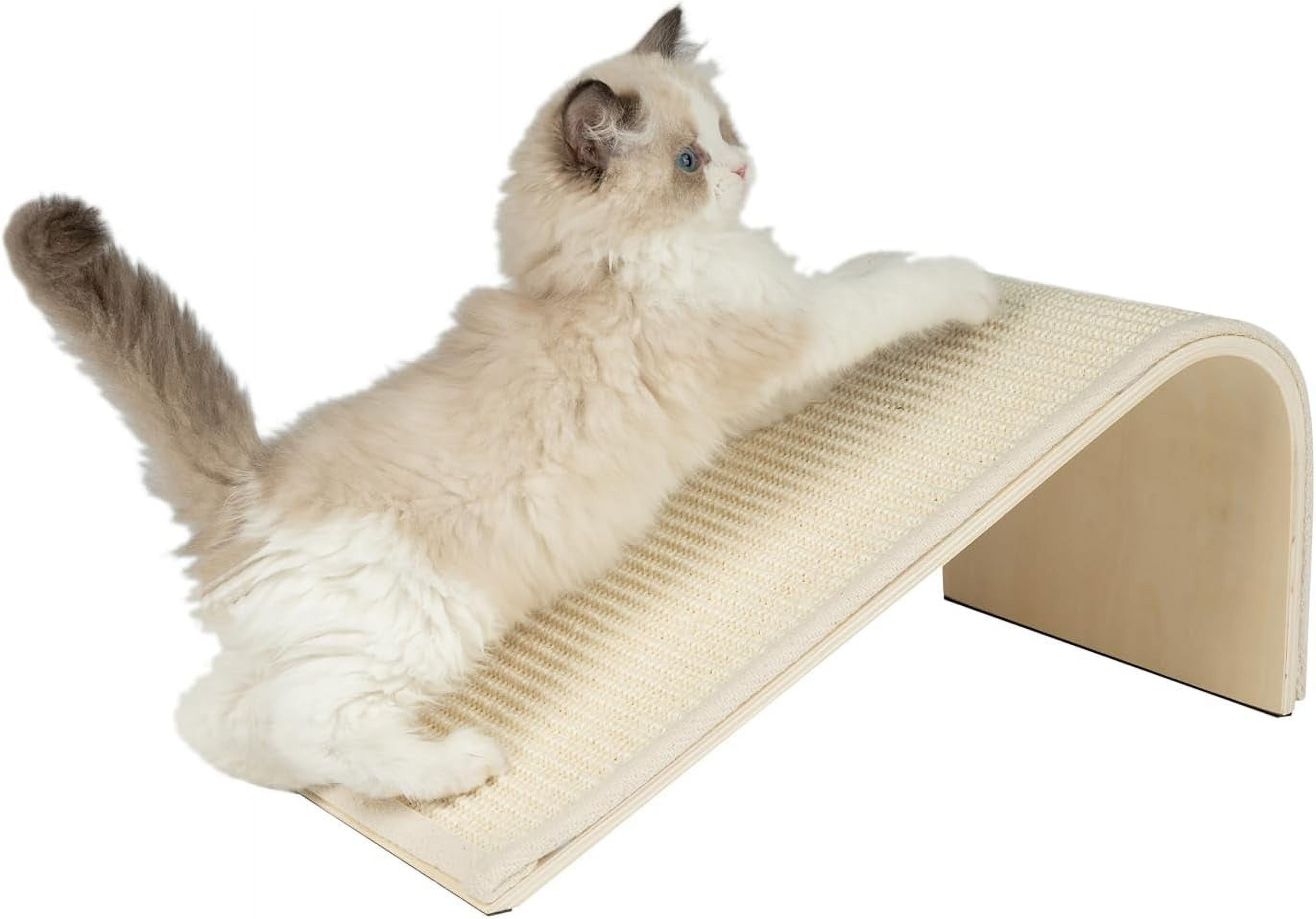 Best Pet Supplies Catify Sloped Sisal Cat Scratchers for Indoor Cats ...