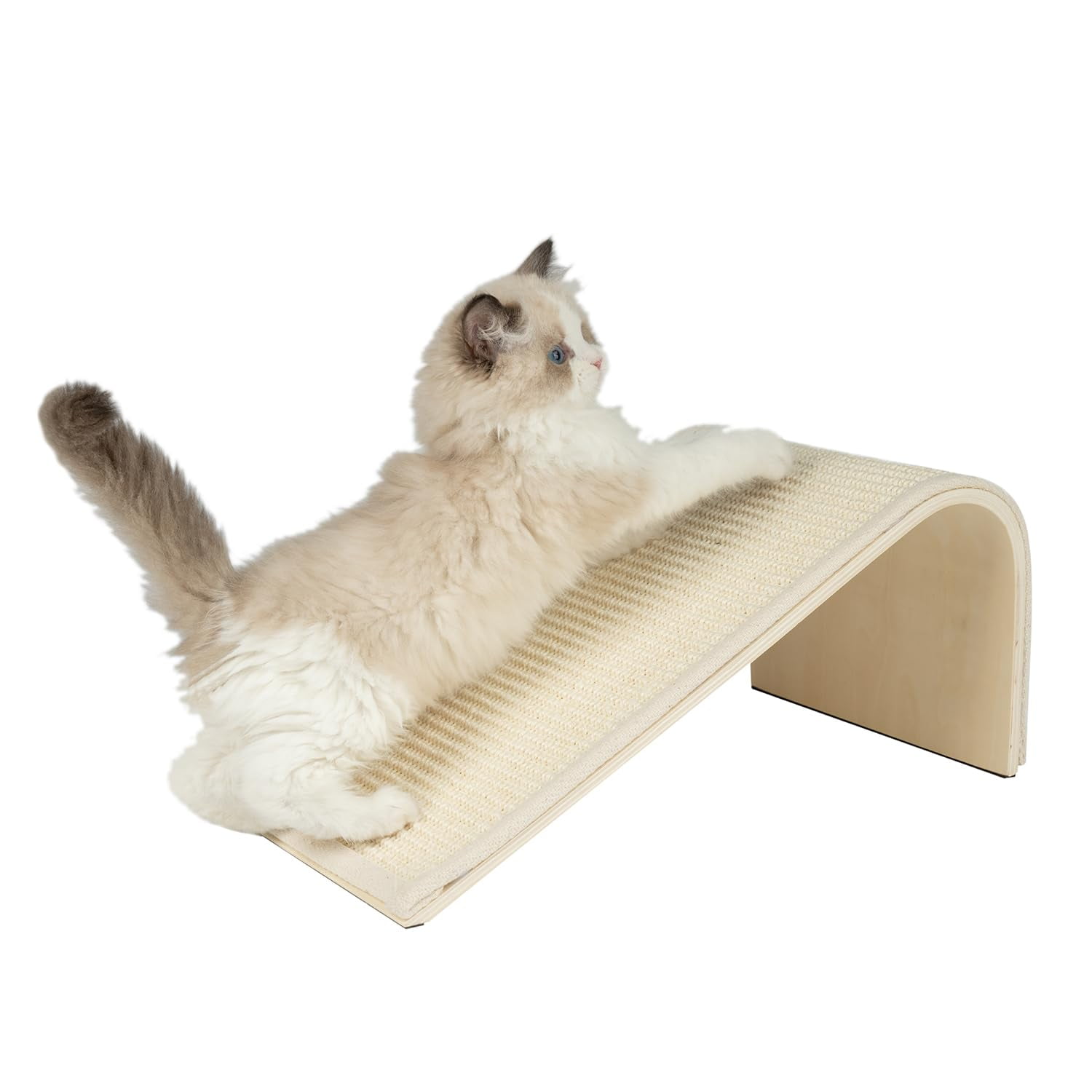 Best Pet Supplies Catify Sloped Sisal Cat Scratchers for Indoor Cats ...