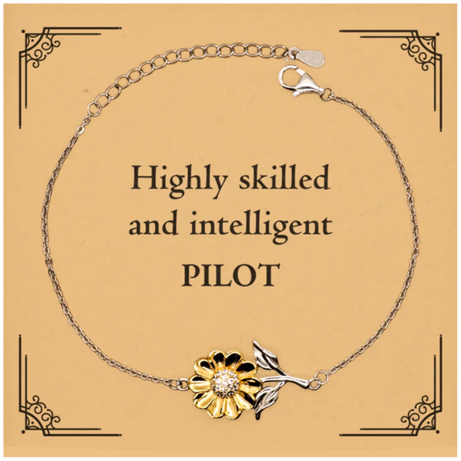 Best Pilot Gifts, Highly skilled and intelligent, Appreciation Birthday ...