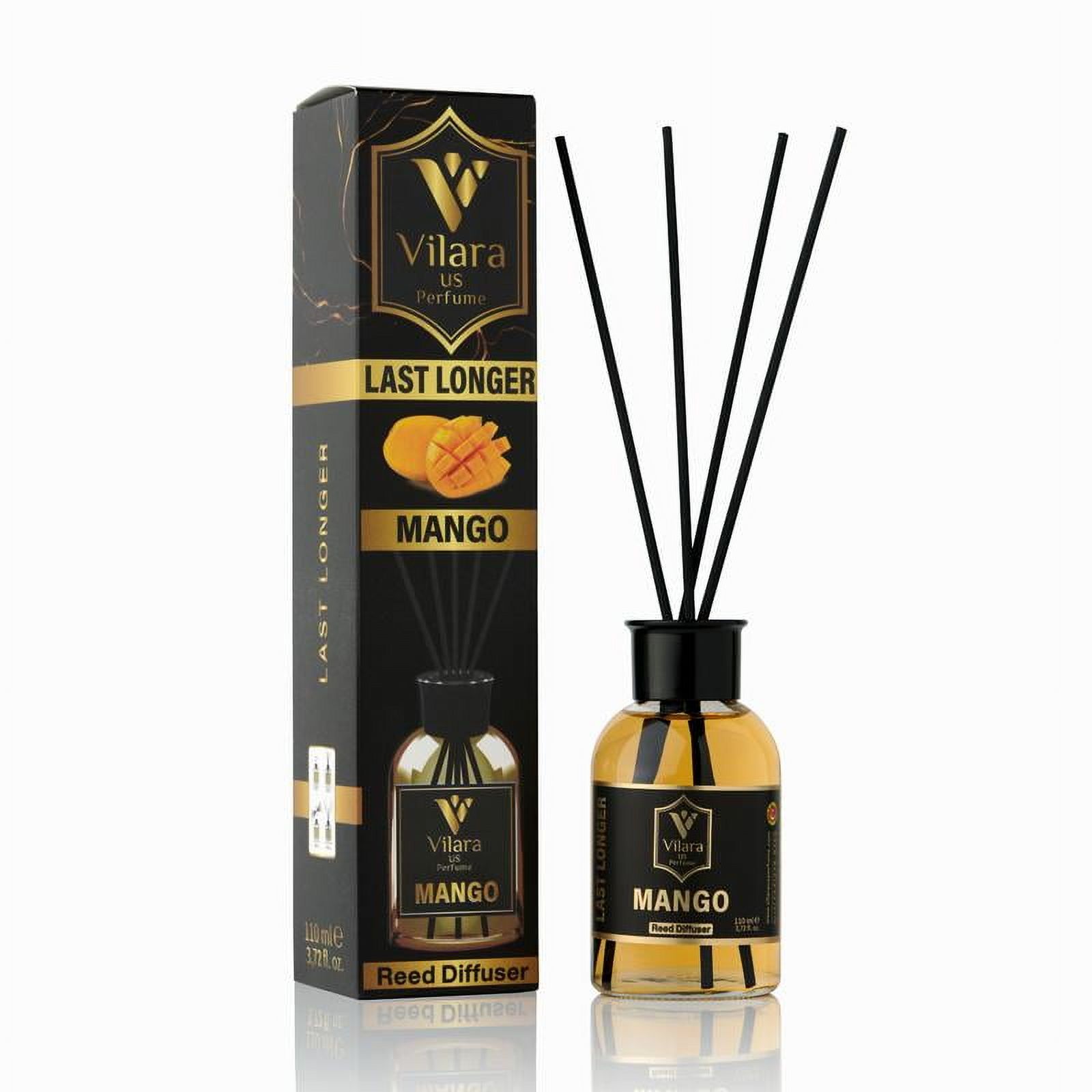 Best Reed Diffuser Set 110 ML Aromatherapy Diffuser with Sticks ...