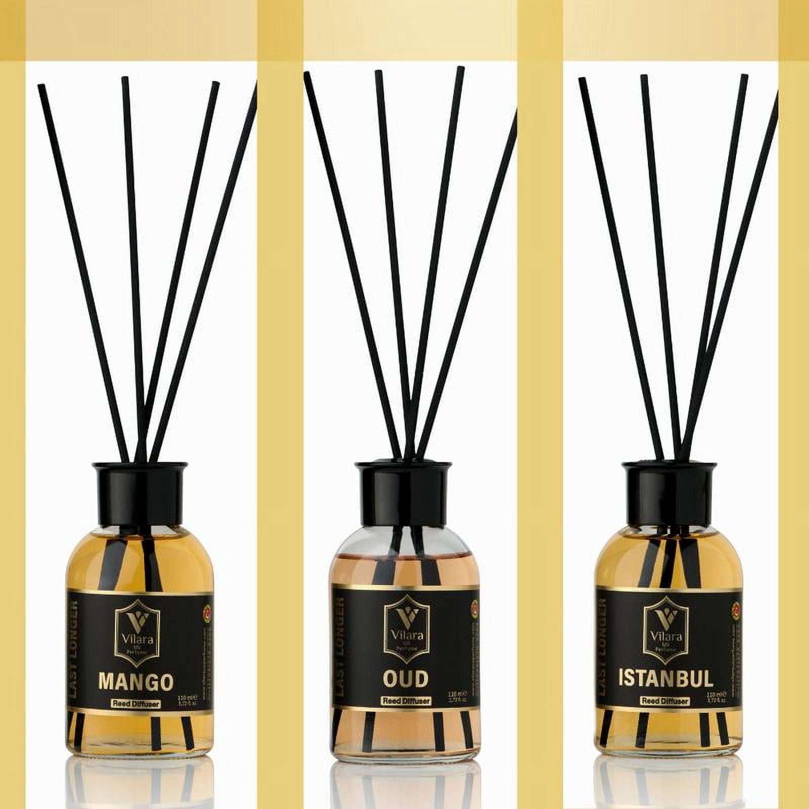 Best Reed Diffuser Set 110 ML Aromatherapy Diffuser with Sticks ...