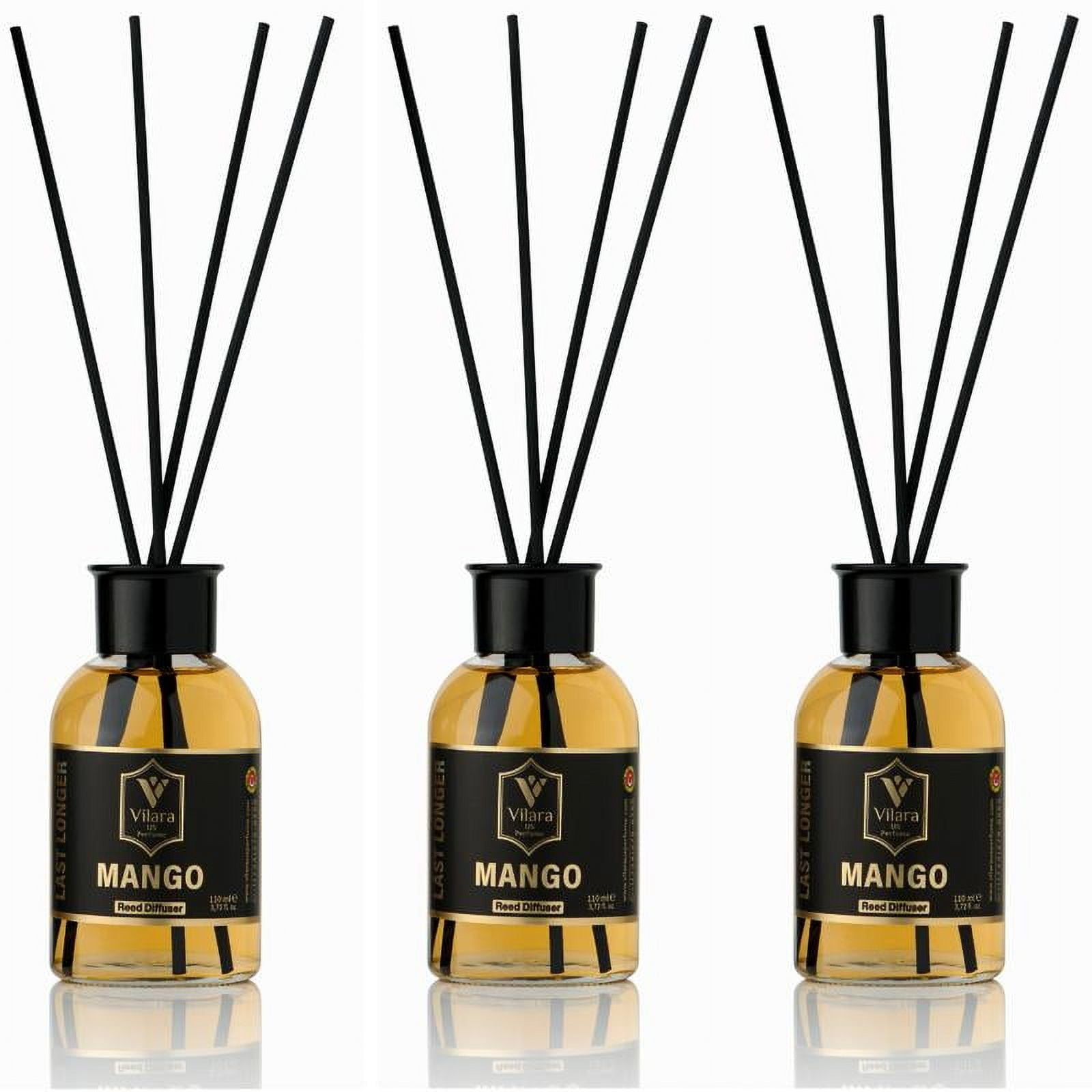 Best Reed Diffuser Set 110 ML Aromatherapy Diffuser with Sticks ...