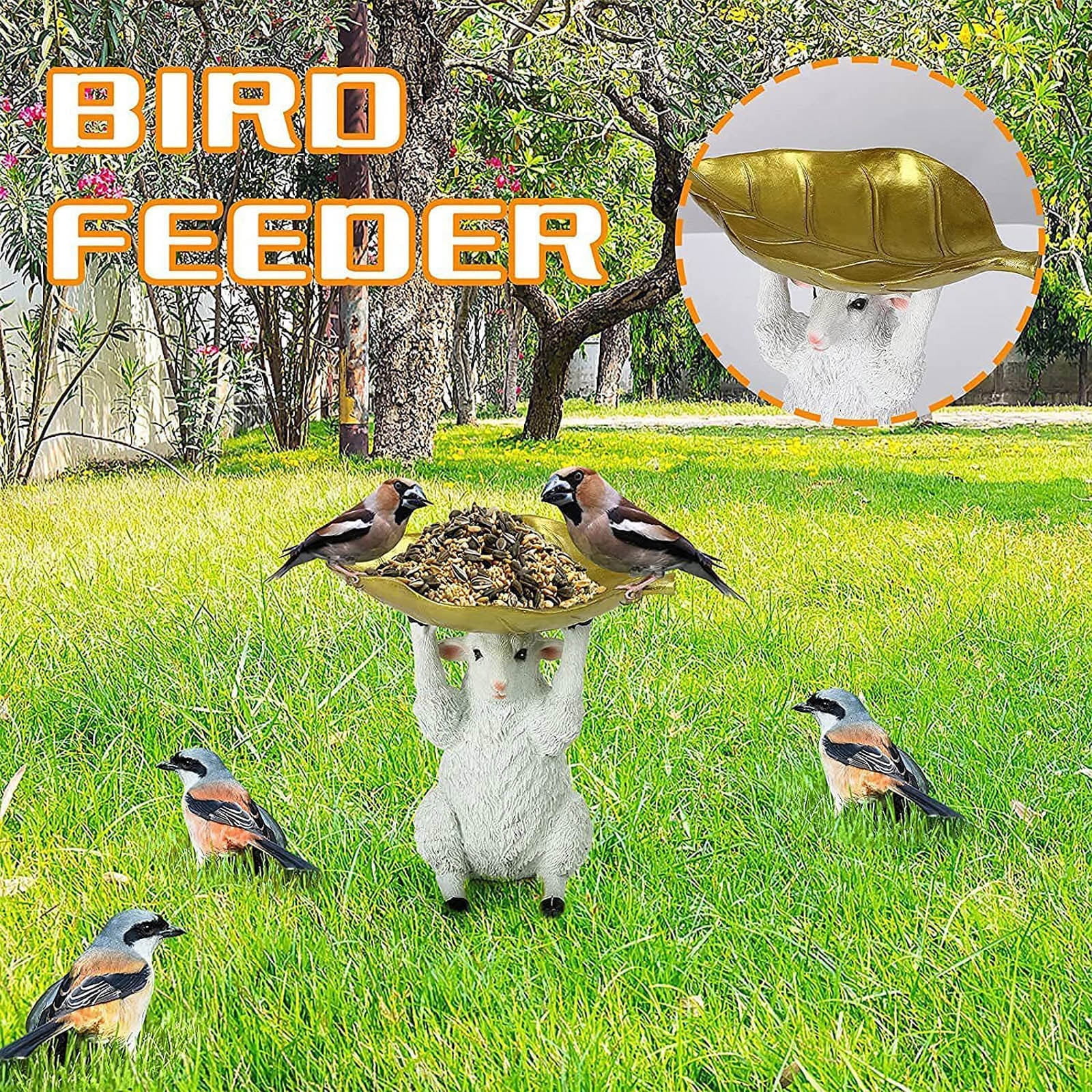 Best Sales! Squirrel Proof Bird Feeders, Bird Feeder for Window, Cute ...