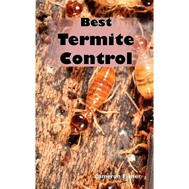Best Termite Control: All You Need to Know About Termites and How to ...