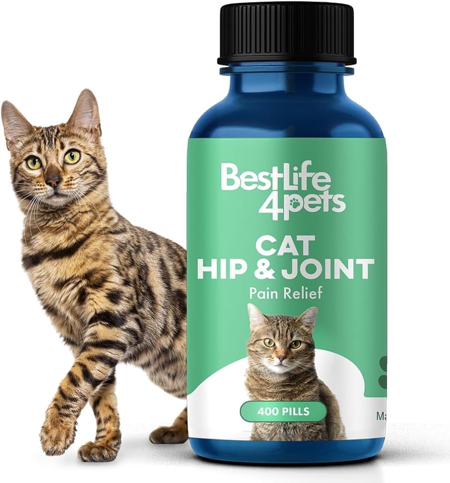 BestLife4Pets Cat Hip and Joint Supplement - Relief from Injuries, and ...
