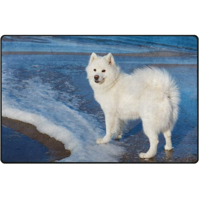 Bestwell Area Rug Carpet White Samoyed Dog Near The Sea Nursery Rug ...