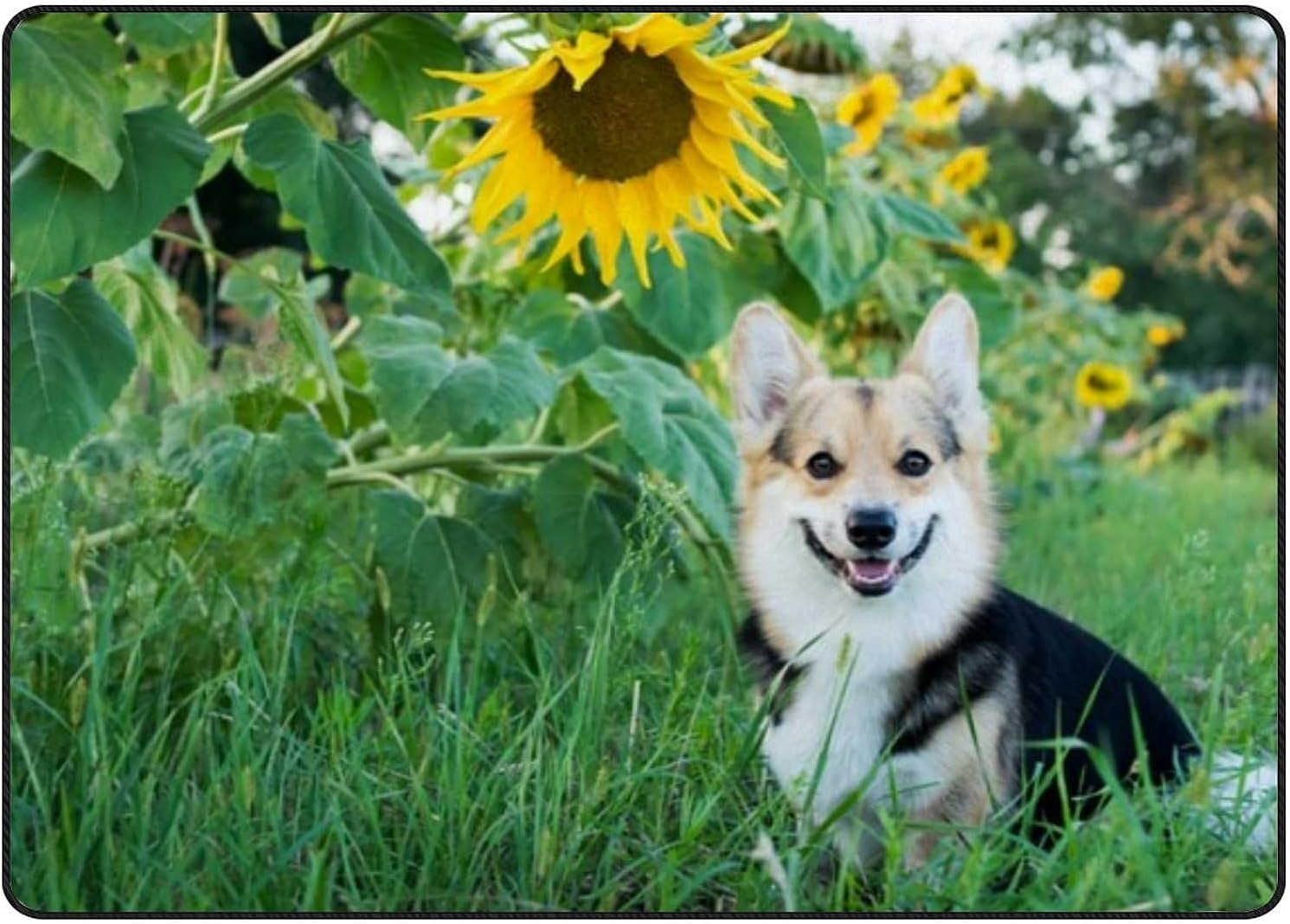 Bestwell Lightweight Soft Area Rugs Happy Welsh Corgi in Sunflowers ...