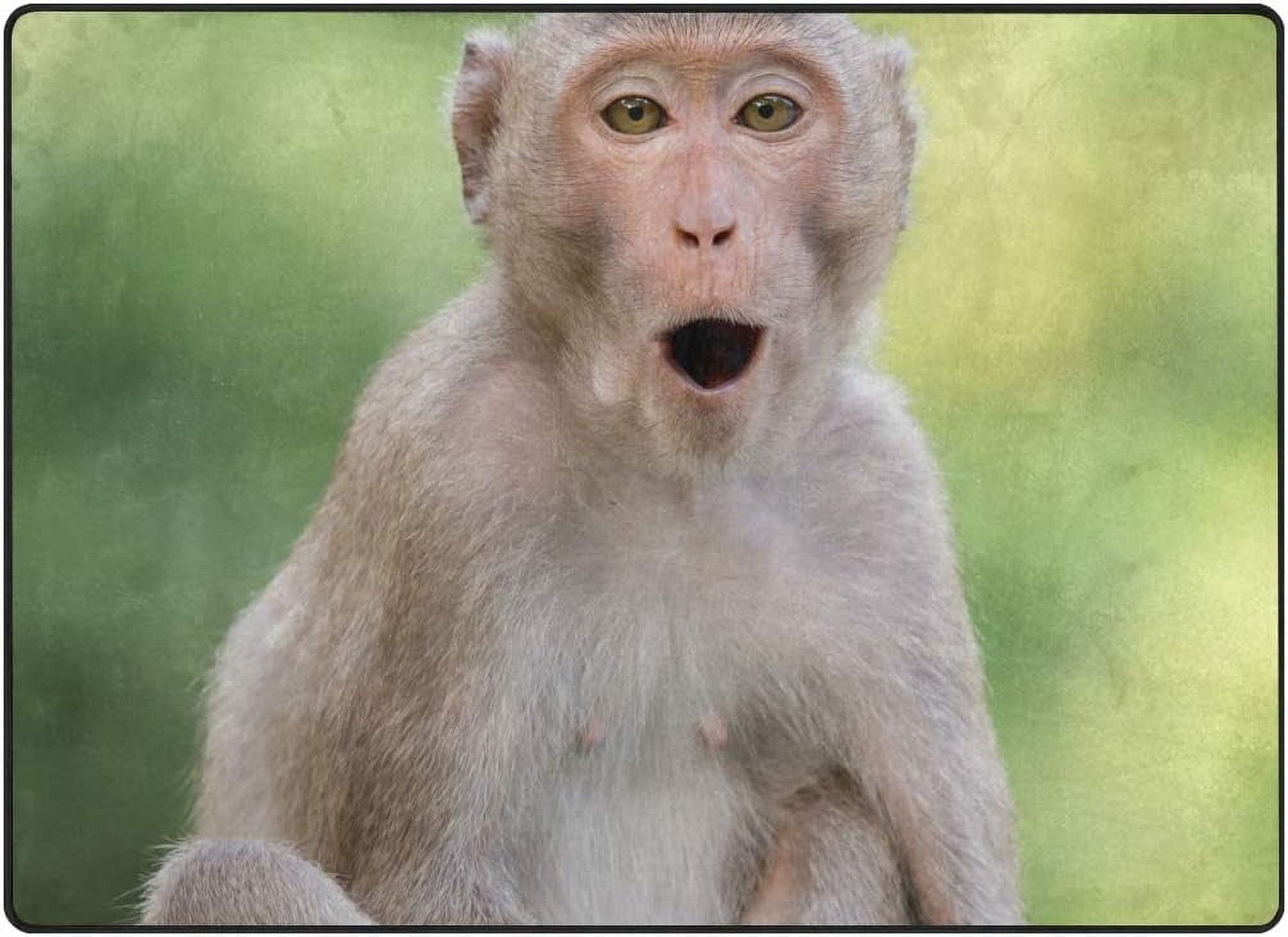 Bestwell Lightweight Soft Area Rugs Monkey Floor Mat for Kids Playing ...