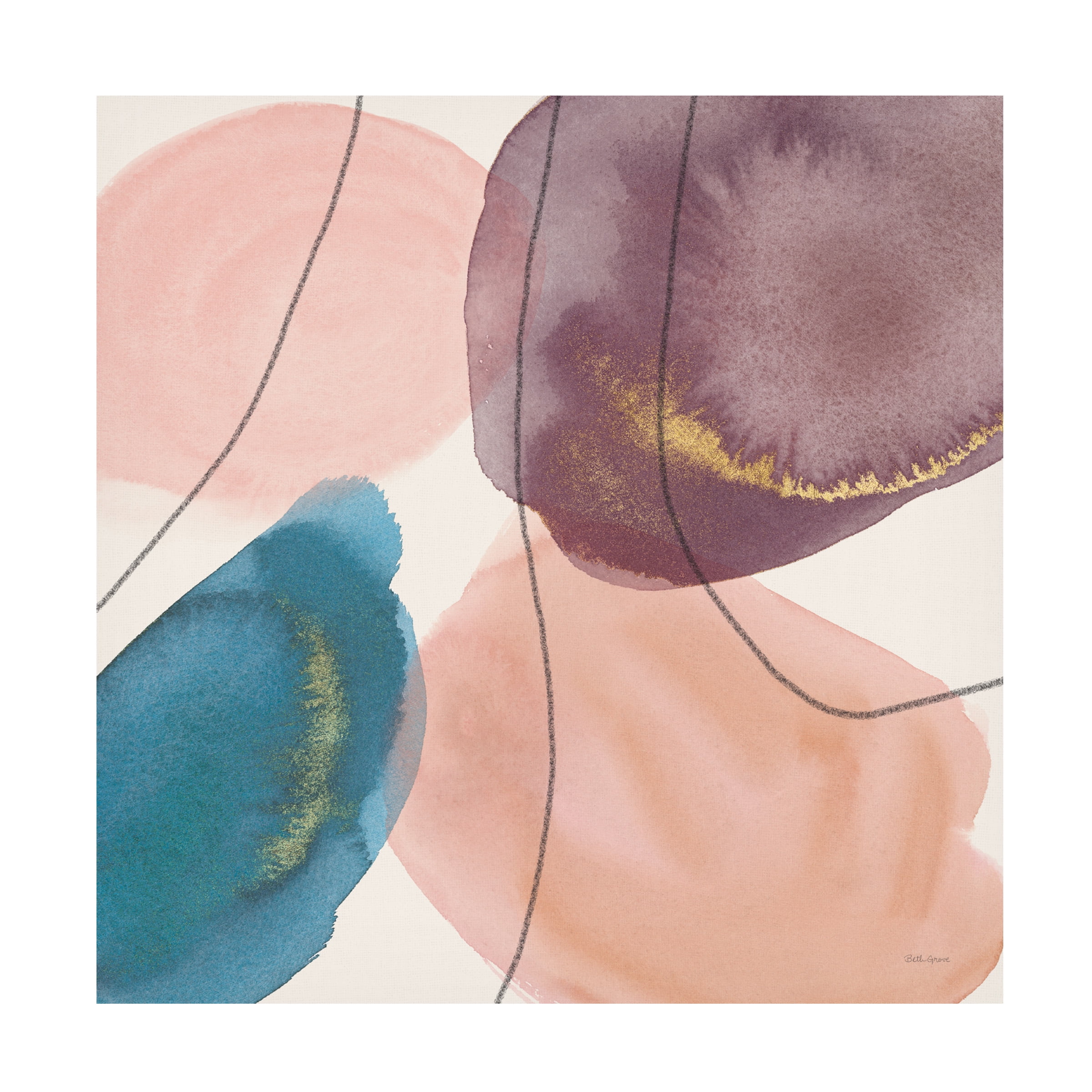 Beth Grove 'Petal Passion XII Eventide' Canvas Art - Walmart.com