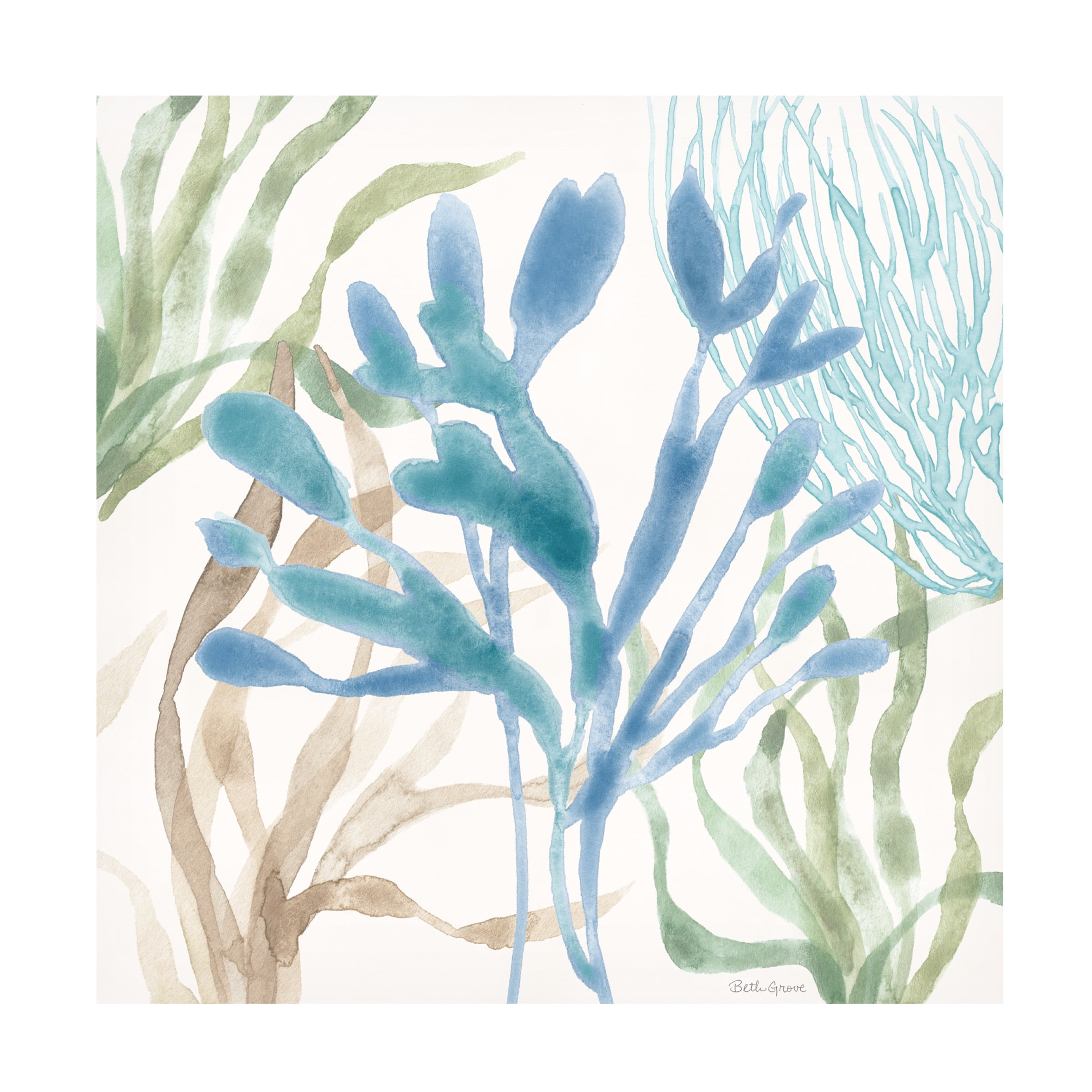 Beth Grove Soft Shores Canvas Art - Floral Sea Fans Painting - Walmart.com