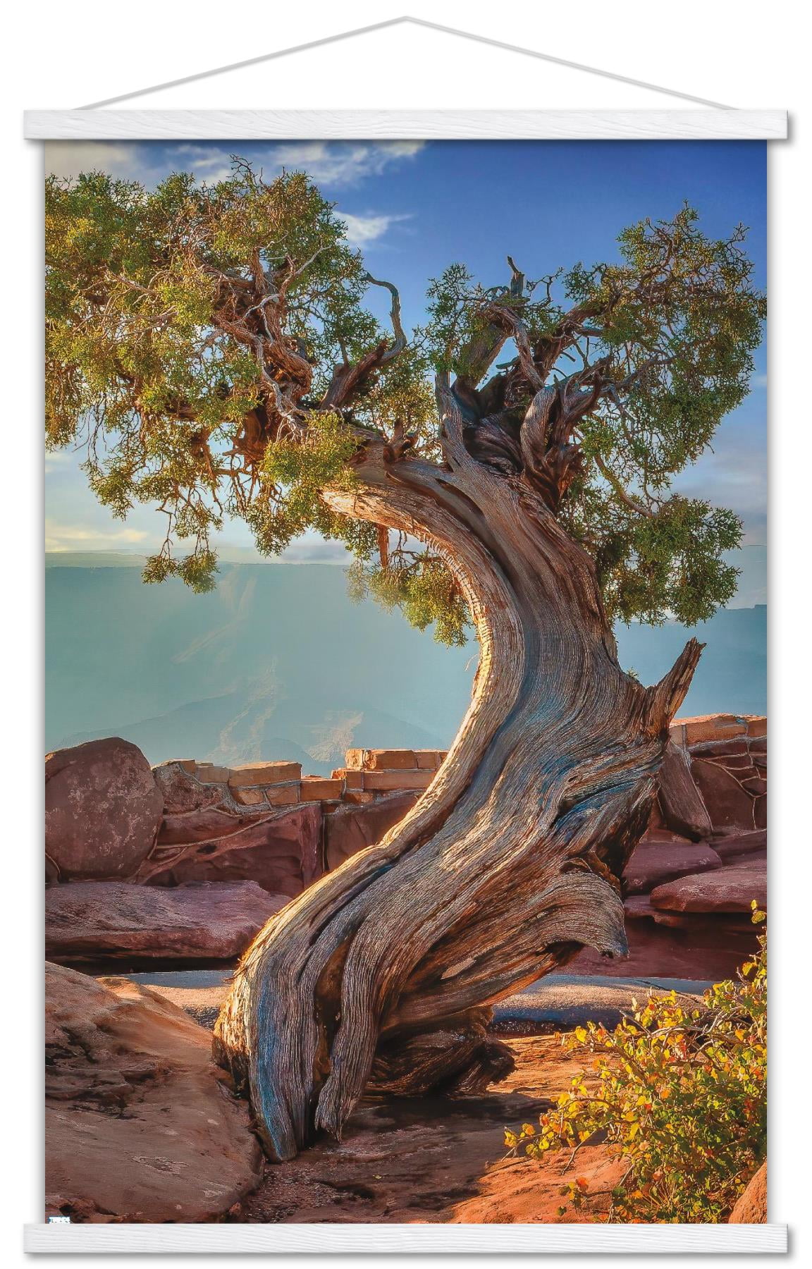 Beth Sheridan - Dead Horse Point Wall Poster with Wooden Magnetic Frame ...