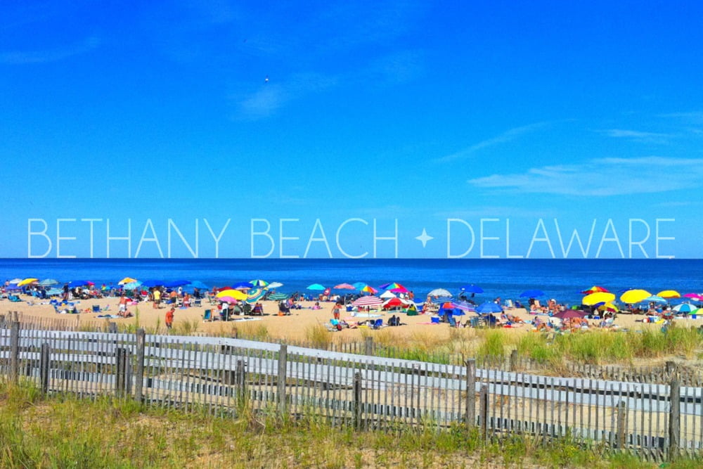 Bethany Beach, Delaware, Beach and Umbrellas (16x24 Giclee Gallery Art ...