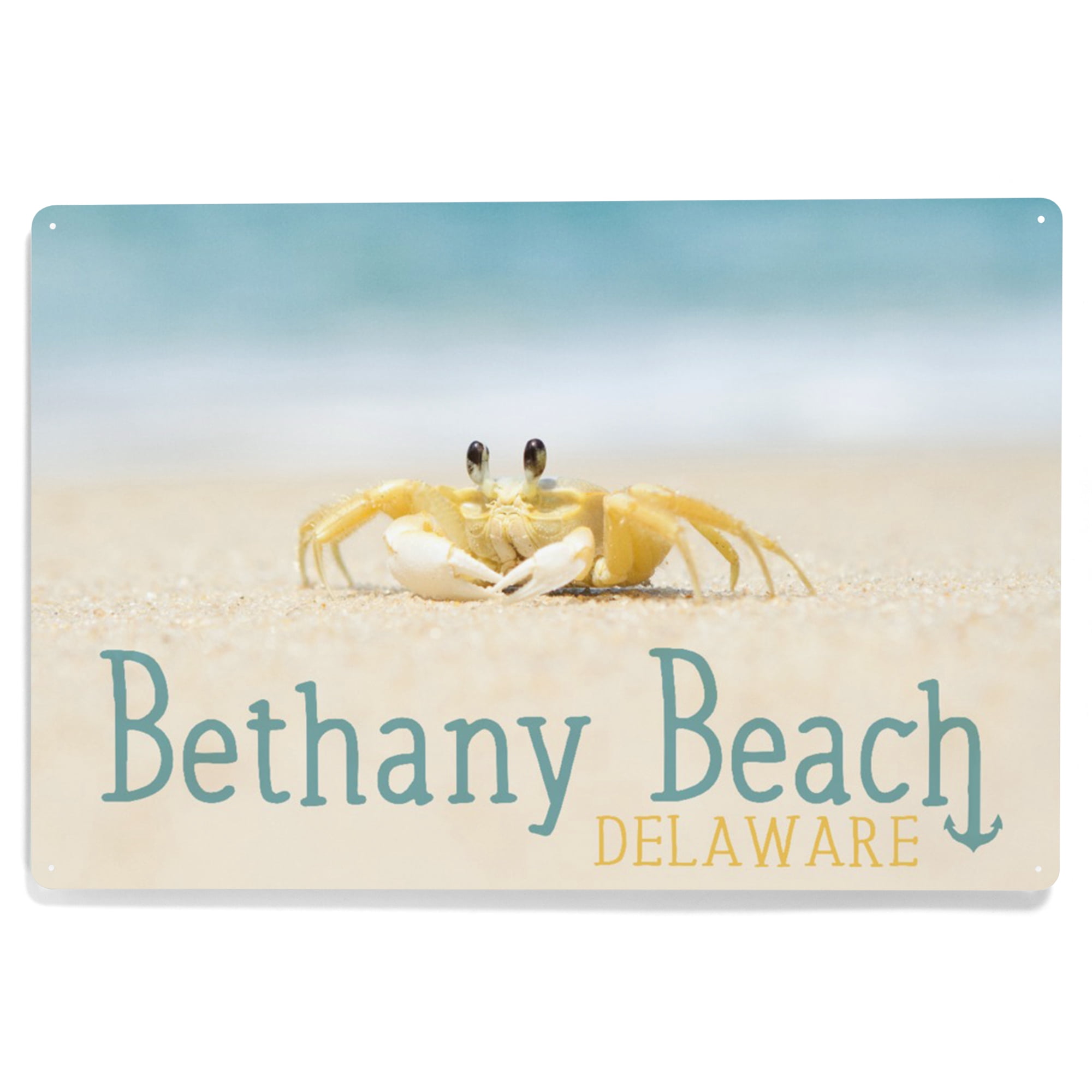 Bethany Beach, Delaware, Crab on Beach (12x18 Aluminum Art, Indoor ...