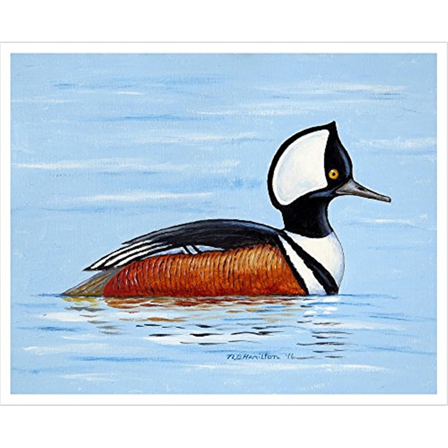 Betsy Drake TP459 24 x 30 in. Hooded Merganser Outdoor Wall Hanging ...
