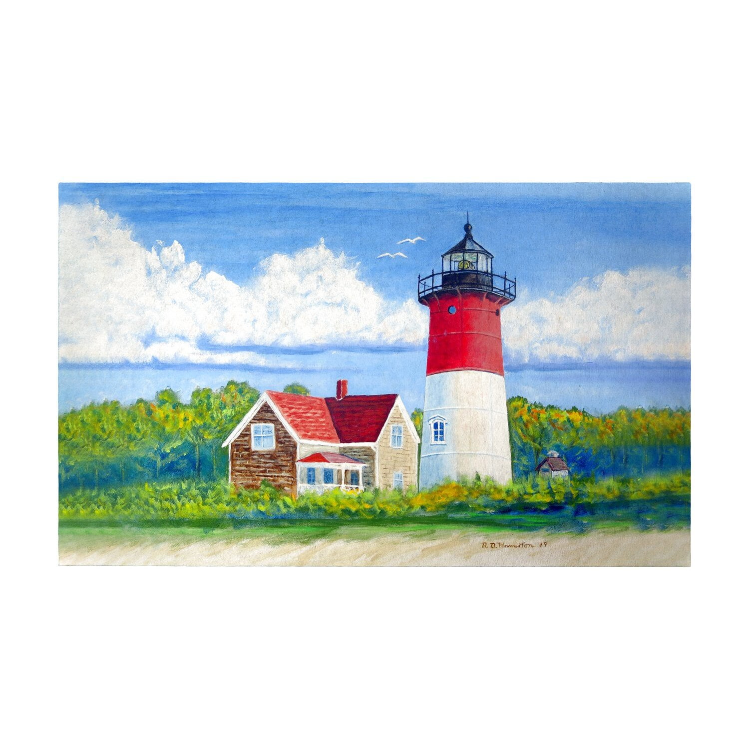Betsy Drake DM1120G 30 x 50 in. Nauset Lighthouse, Cape Cod, MA Door ...