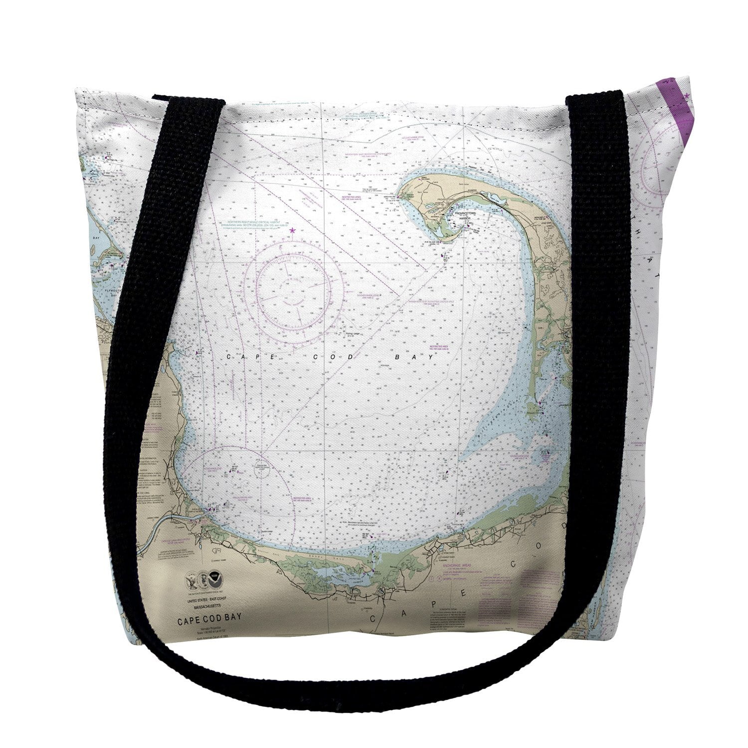 Betsy Drake TY13246M 16 x 16 in. Cape Cod Bay, MA Nautical Map Tote Bag ...