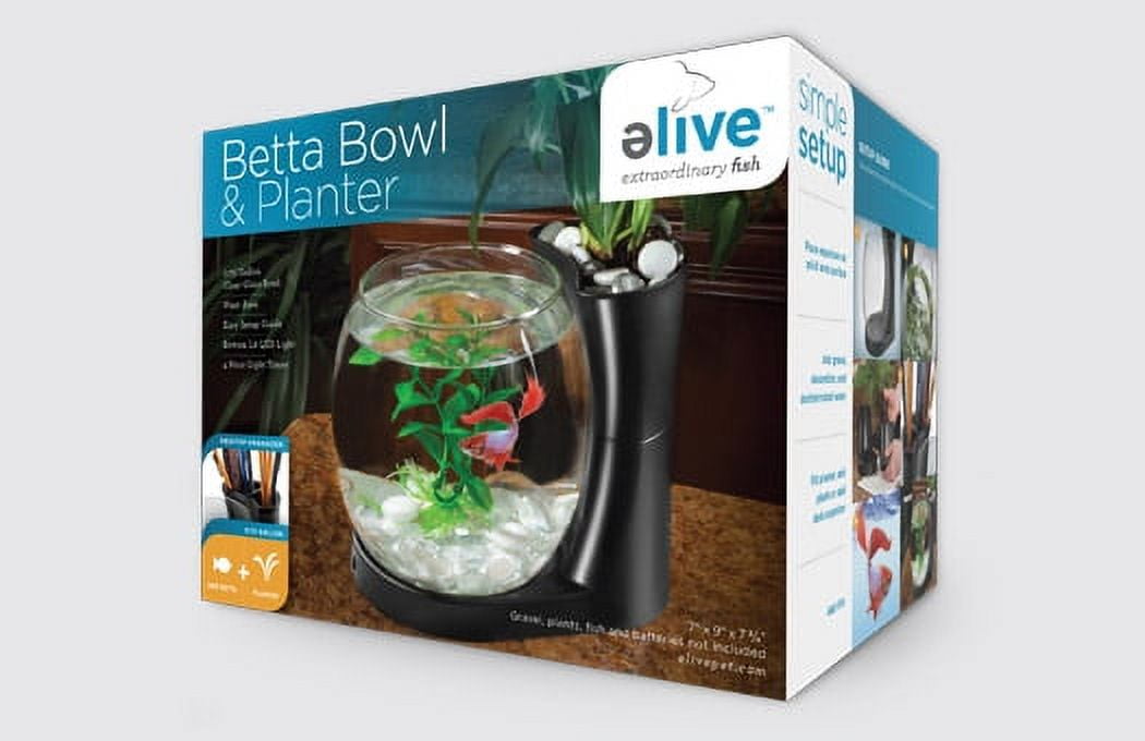 Betta Bowl & Planter Black - Walmart.com