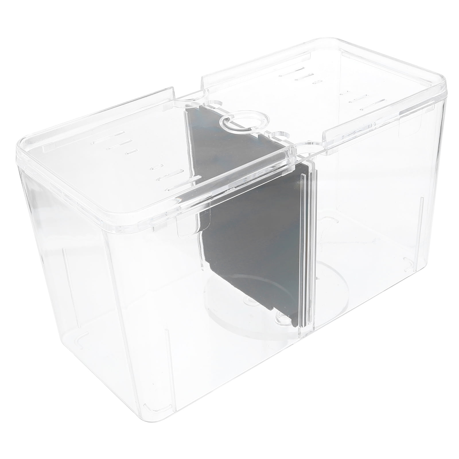 Betta Box Fish Terrarium for Reptiles Aquarium Breeding Container Tank ...
