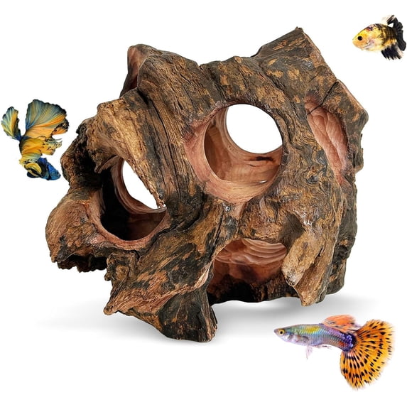 Betta Fish Cave Natural Wood Betta Fish Hideout for Aquarium Fish Tank ...