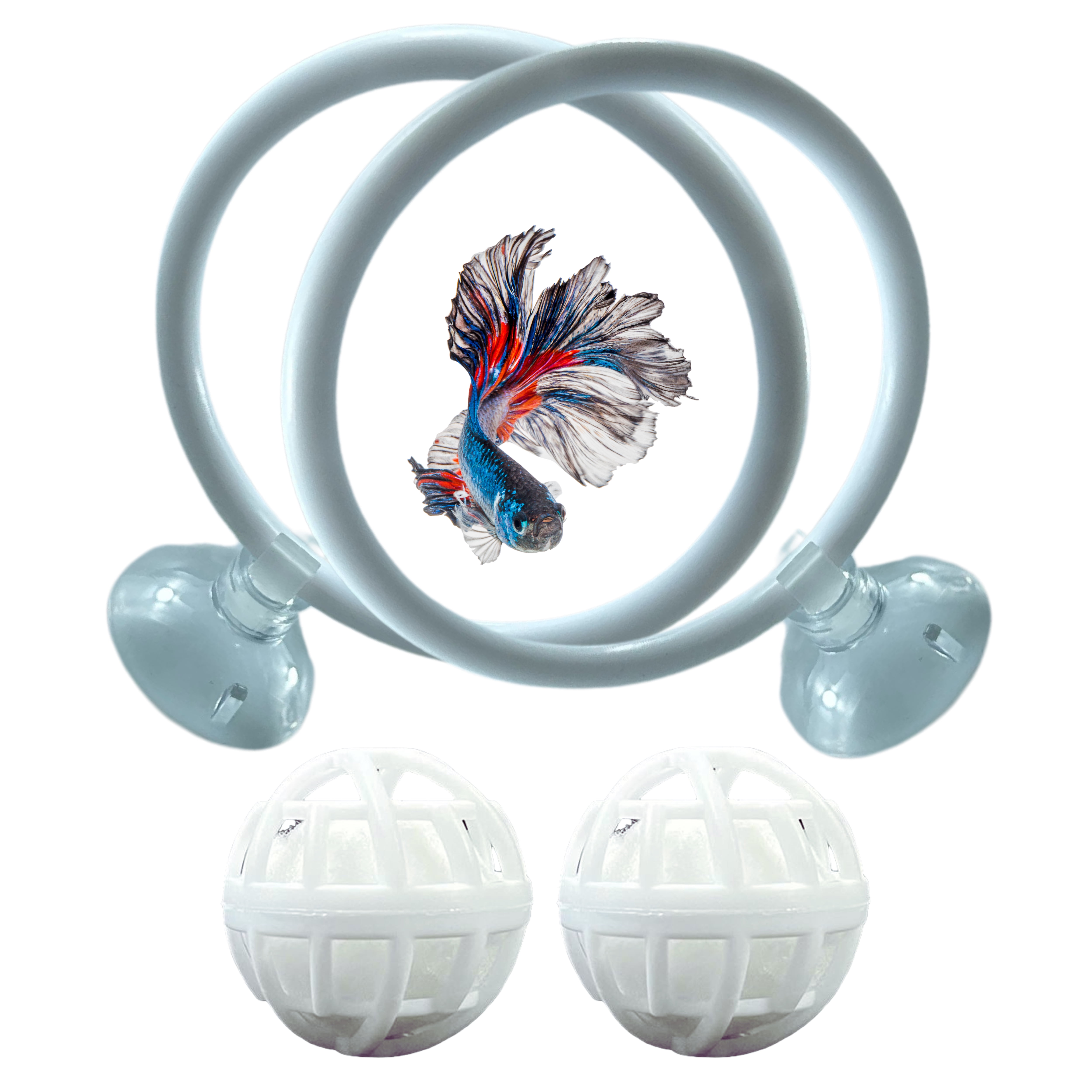 Betta Fish Exercise Ring and Filter Balls Set, Floating Training Ring ...