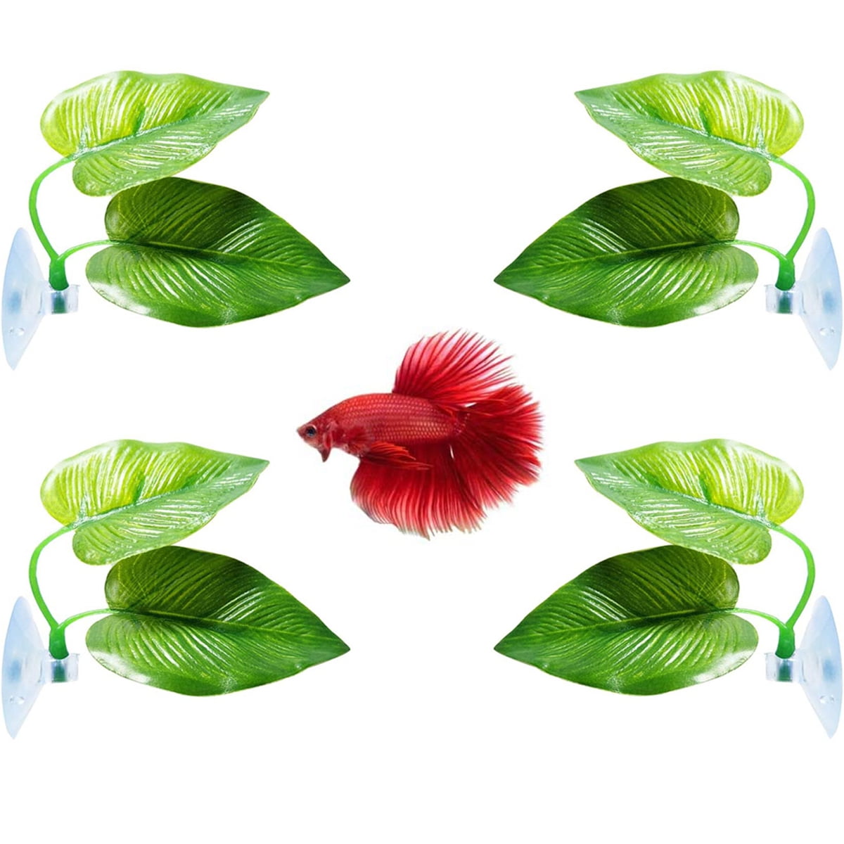 Betta Fish Hammock 4 Pcs Betta Fish Leaf Pad Betta Fish hammock Betta ...