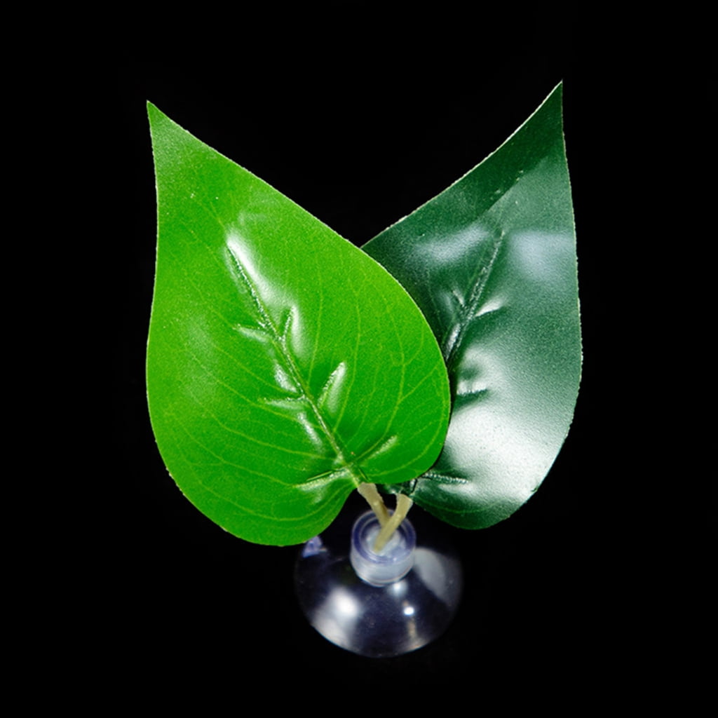 Betta Fish Hammock Plant Suction Cup Leaf Safety Leaf Resting Pad for Fishtanks - Walmart.com