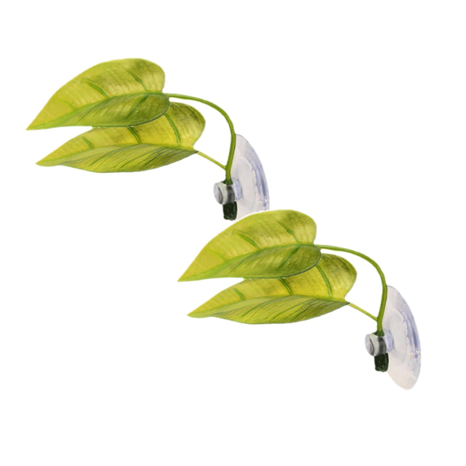 Betta Fish Leaf Hammock - 2 Pack BPA-Free Resting Spot with Suction ...