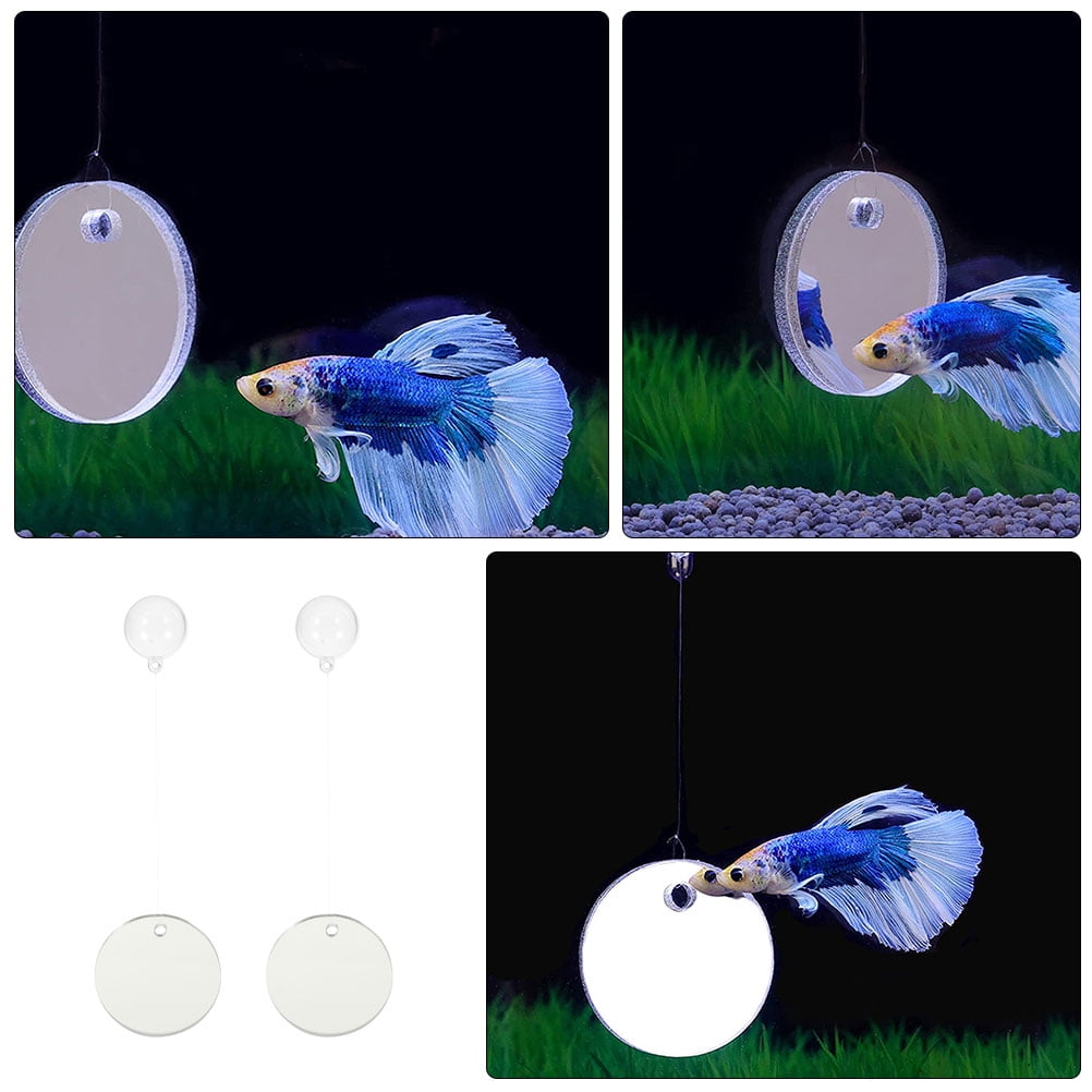 Betta Fish Mirror Made of Acrylic for Decor Floats in Tank Creates ...