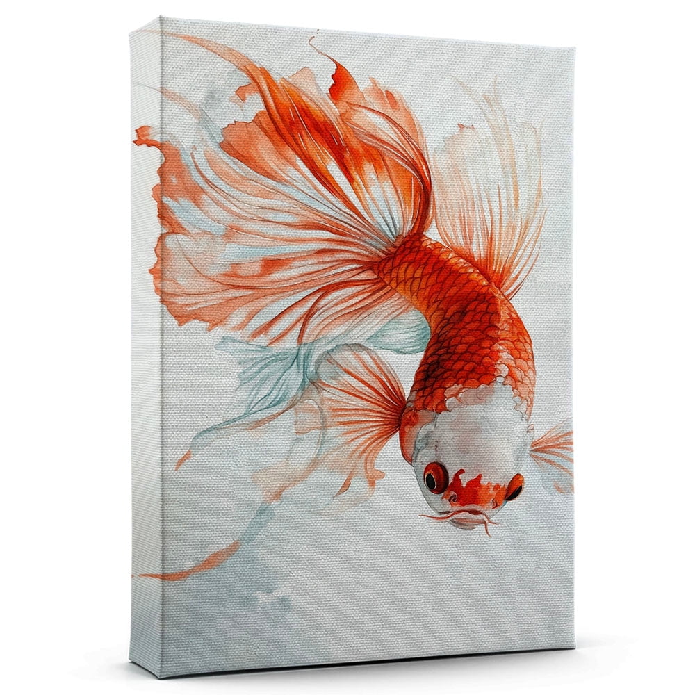 Betta Fish Red White Halfmoon Canvas Wall Art Decor, Colorful Betta ...