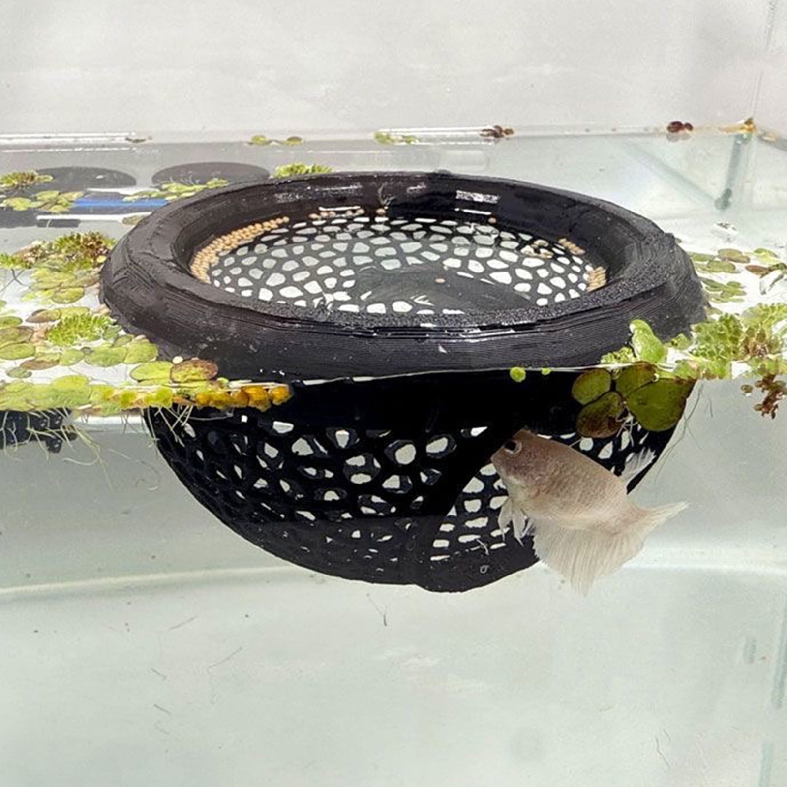 Betta Fish Tank Accessories,Floating Betta Tunnel for Training, Bettas ...