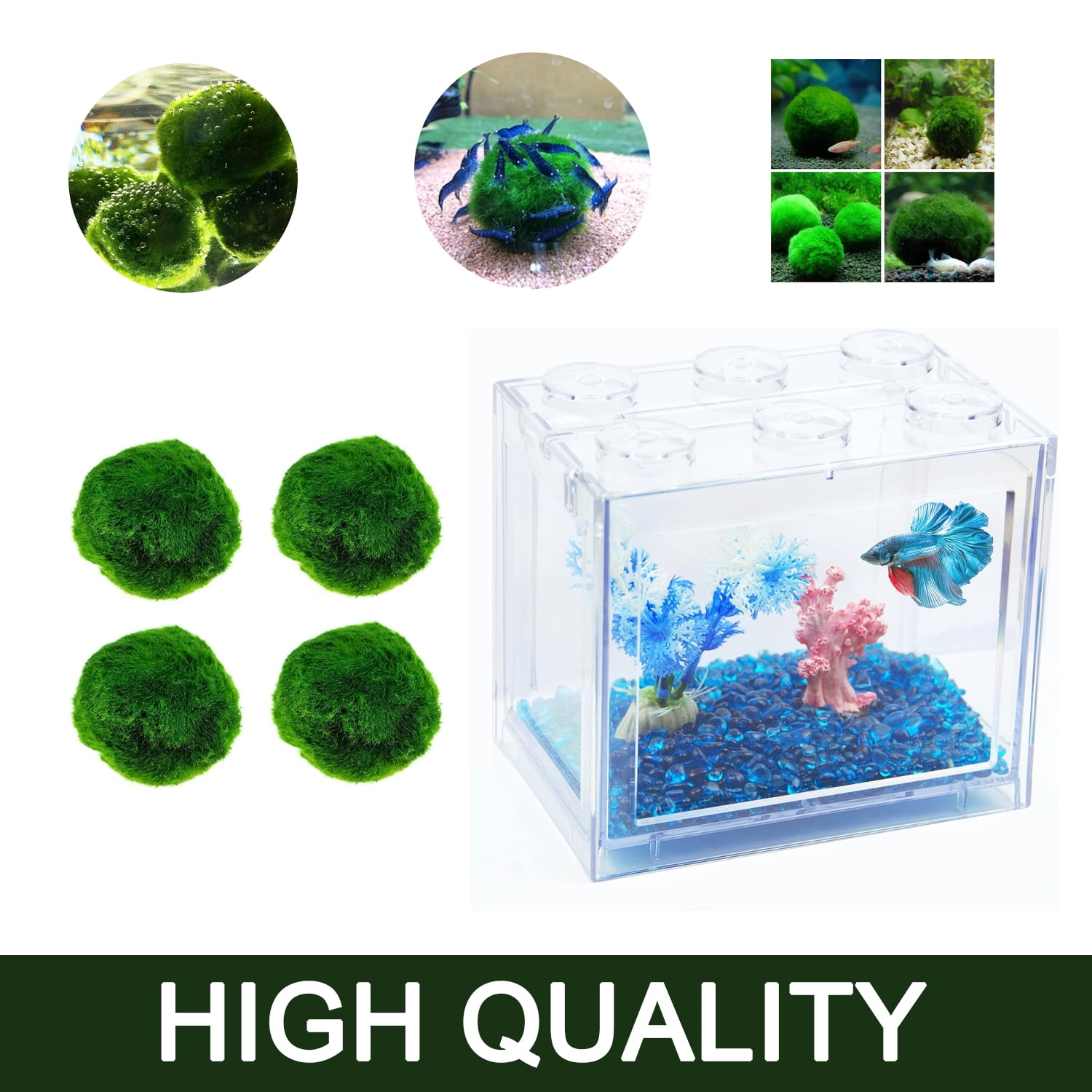 Betta Fish Tanks, Stackable Mini Fish Aquarium Tank Kit with 4Pcs ...