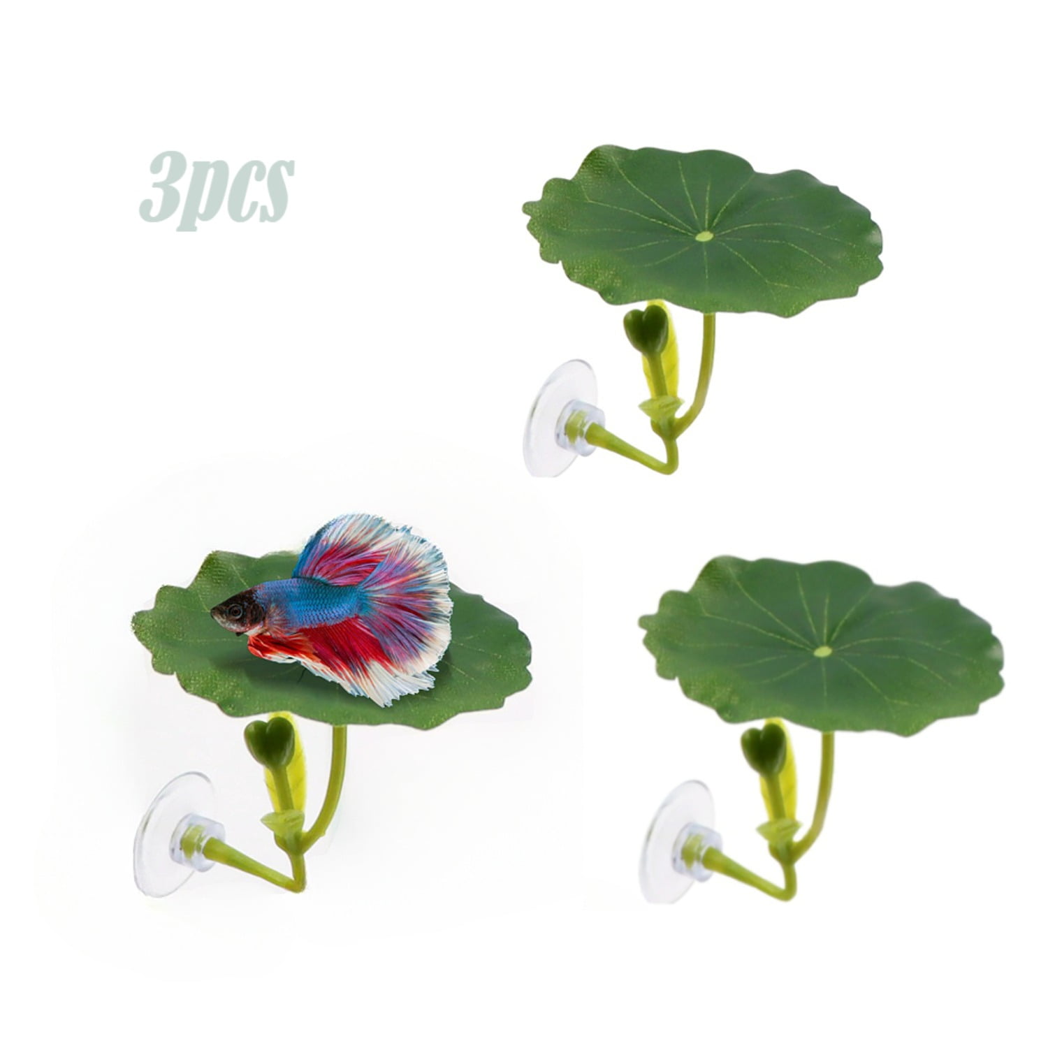 Betta Hammock 3pcs Betta Leaf Fish Resting Aquarium Decoration ...