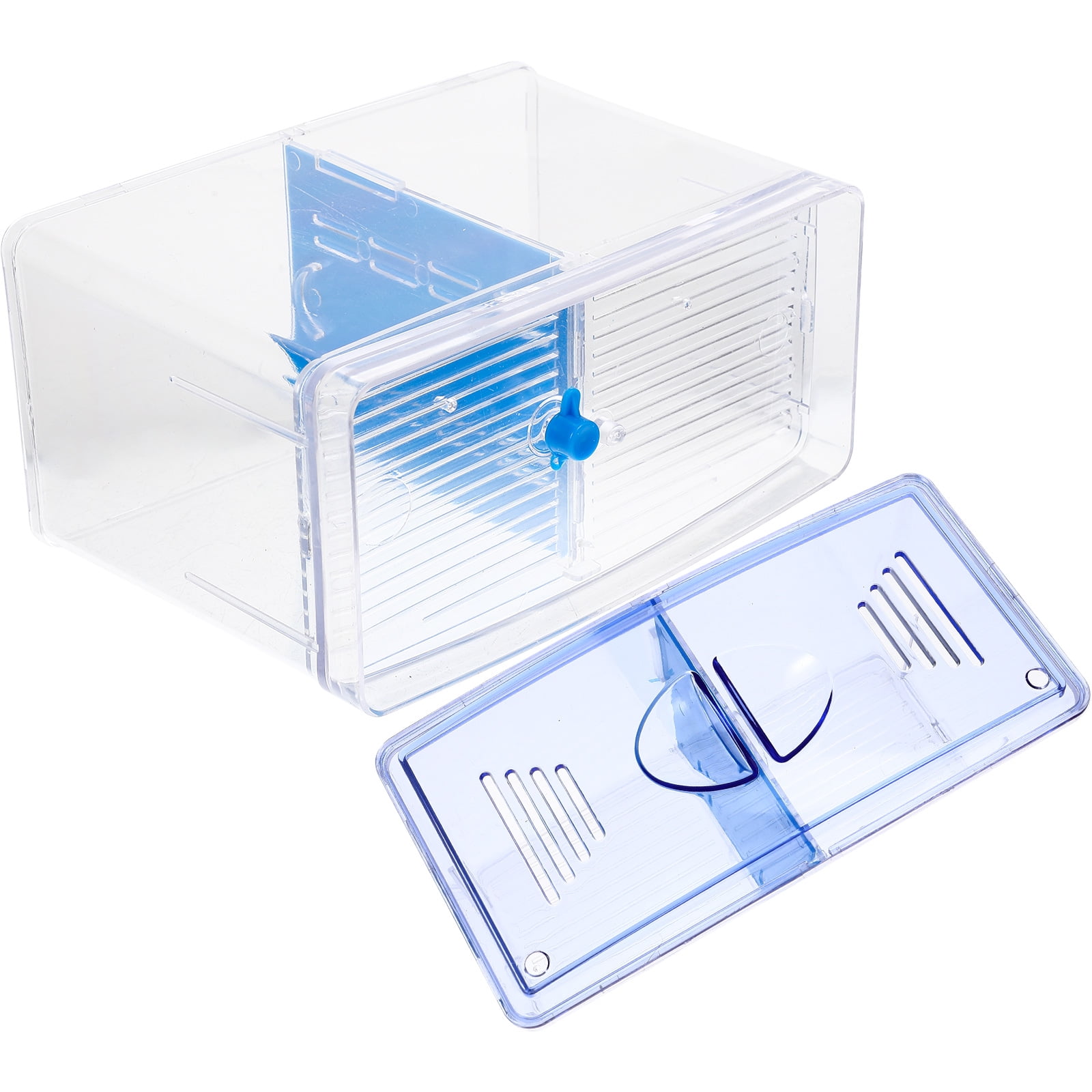 Betta Tank Isolation Box Household Fish Breeding Hatchery Incubator ...
