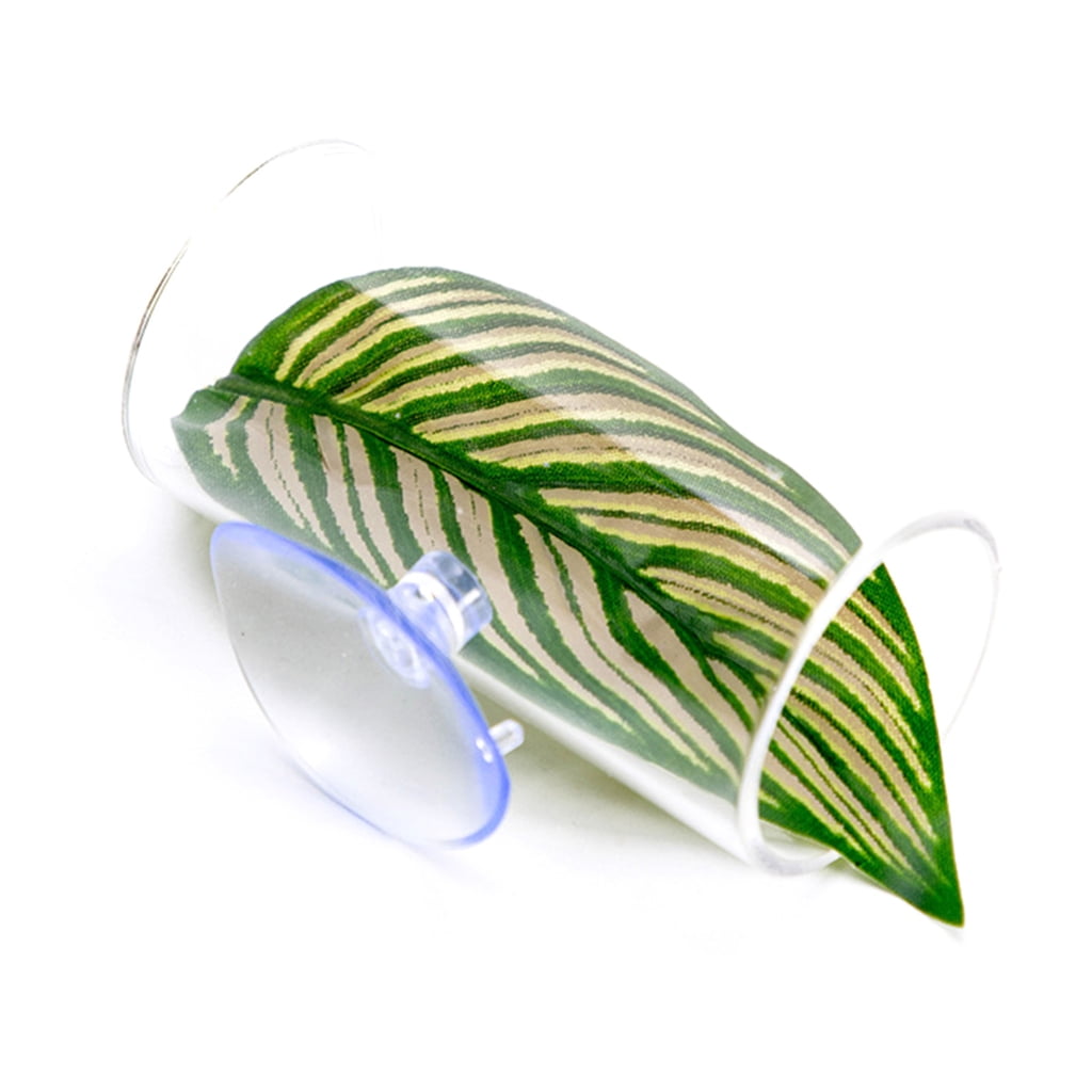 Bettas Breeding Tunnel Healthy Fish Reproduction Bed Fish Tanks ...