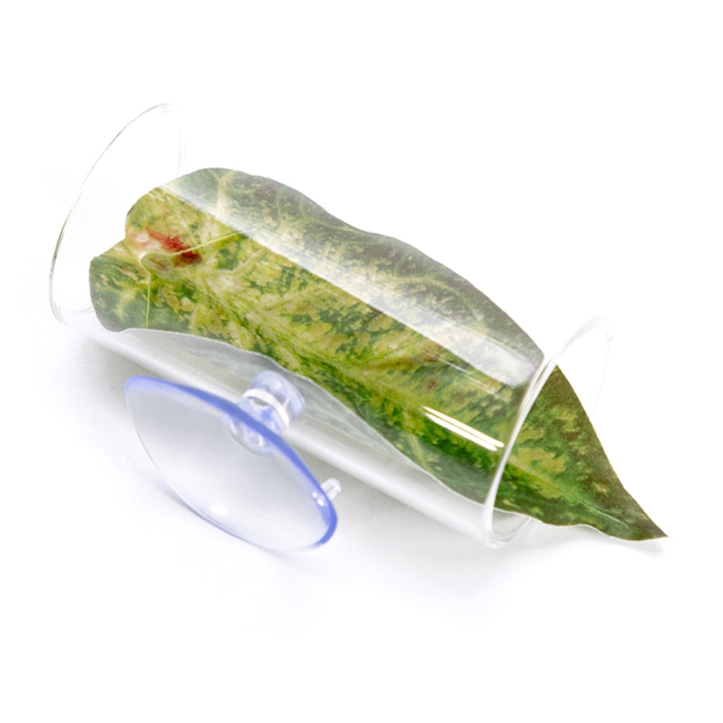 Bettas Breeding Tunnel Healthy Fish Reproduction Bed Fish Tanks ...