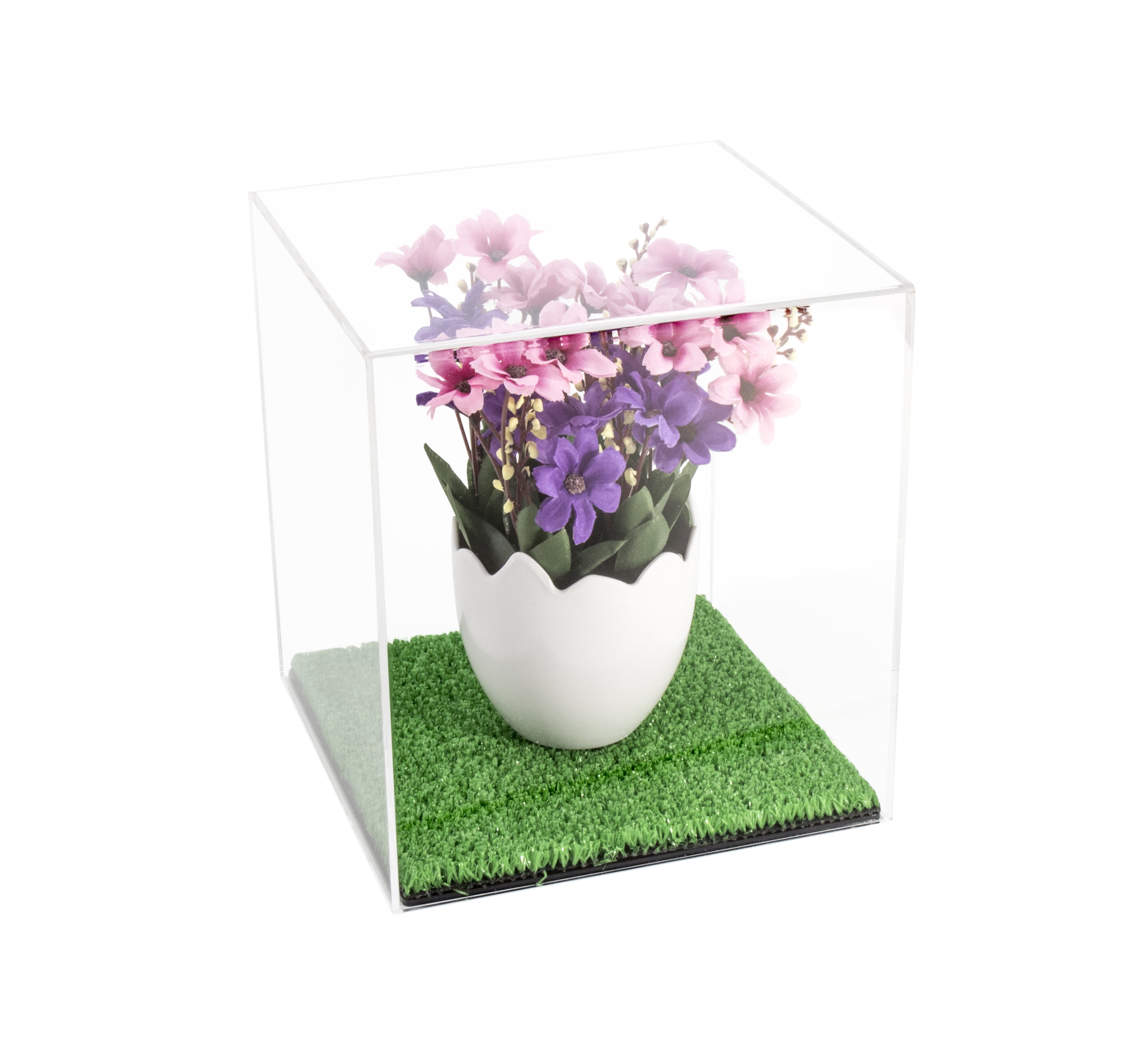 Better Display Cases Versatile Clear Acrylic Display Case - Small ...